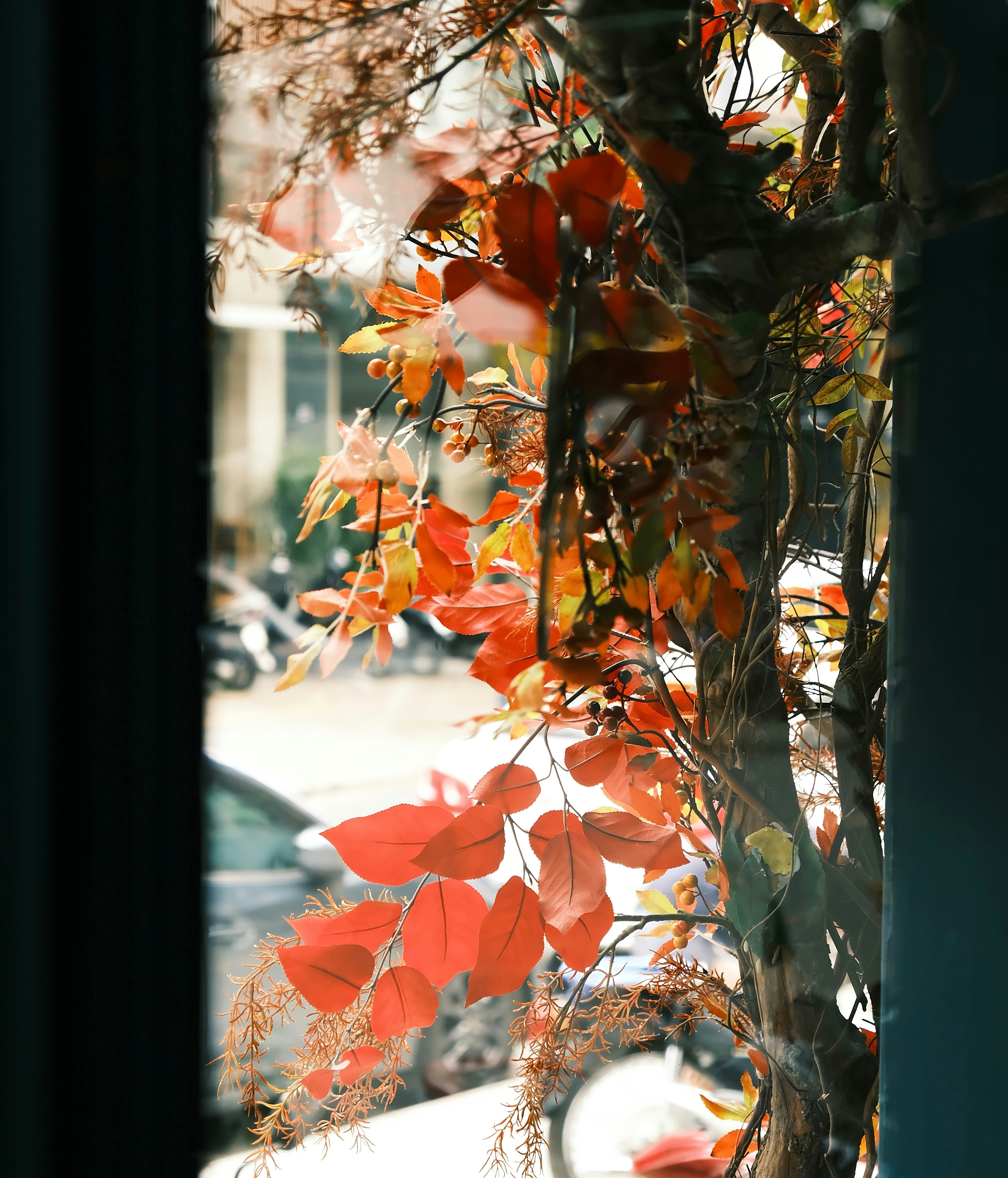 Autumn Pfp Aesthetic Pictures | Download Free Images on Unsplash