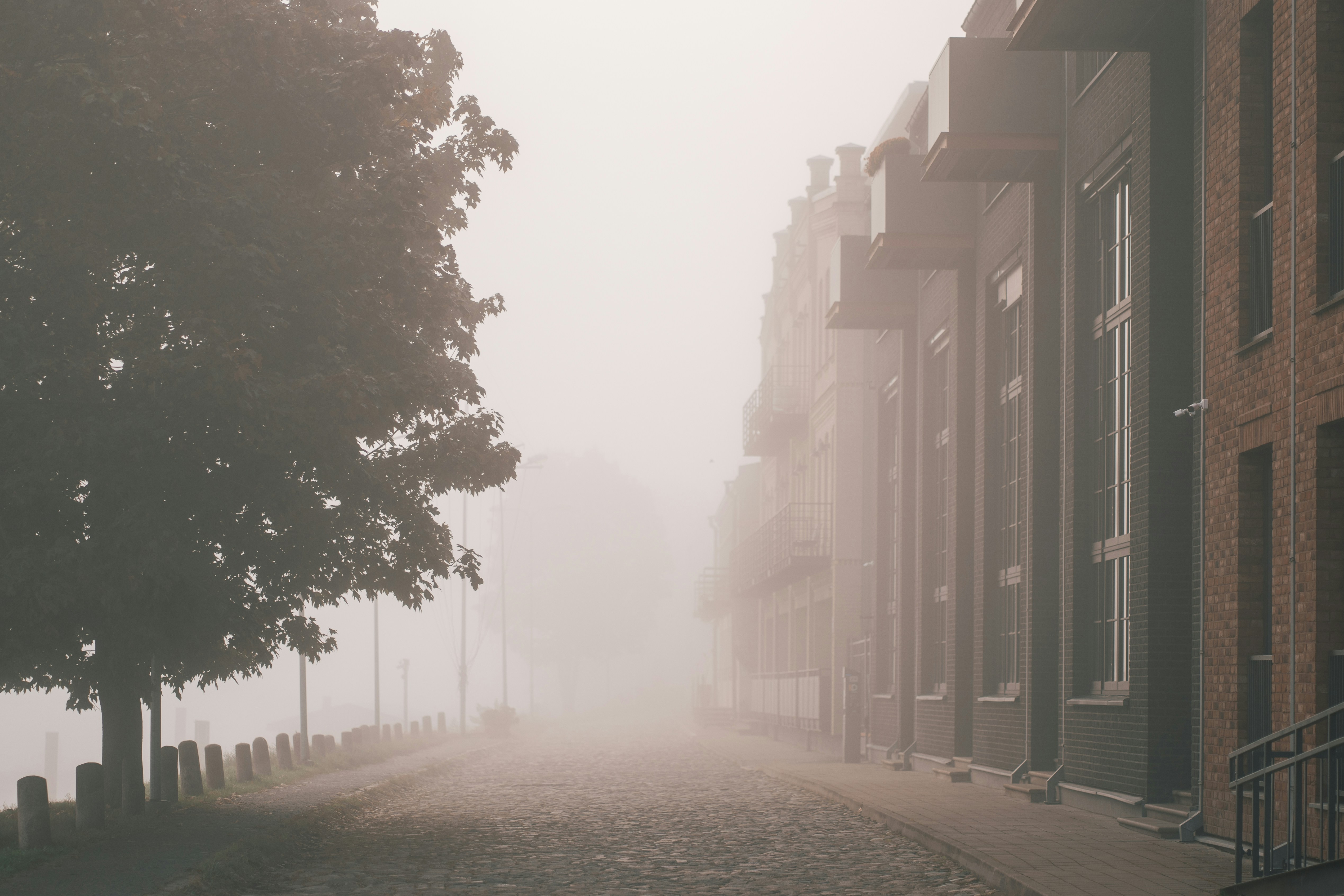 Vanishing Point on a Fog-Kissed Cobblestone Street