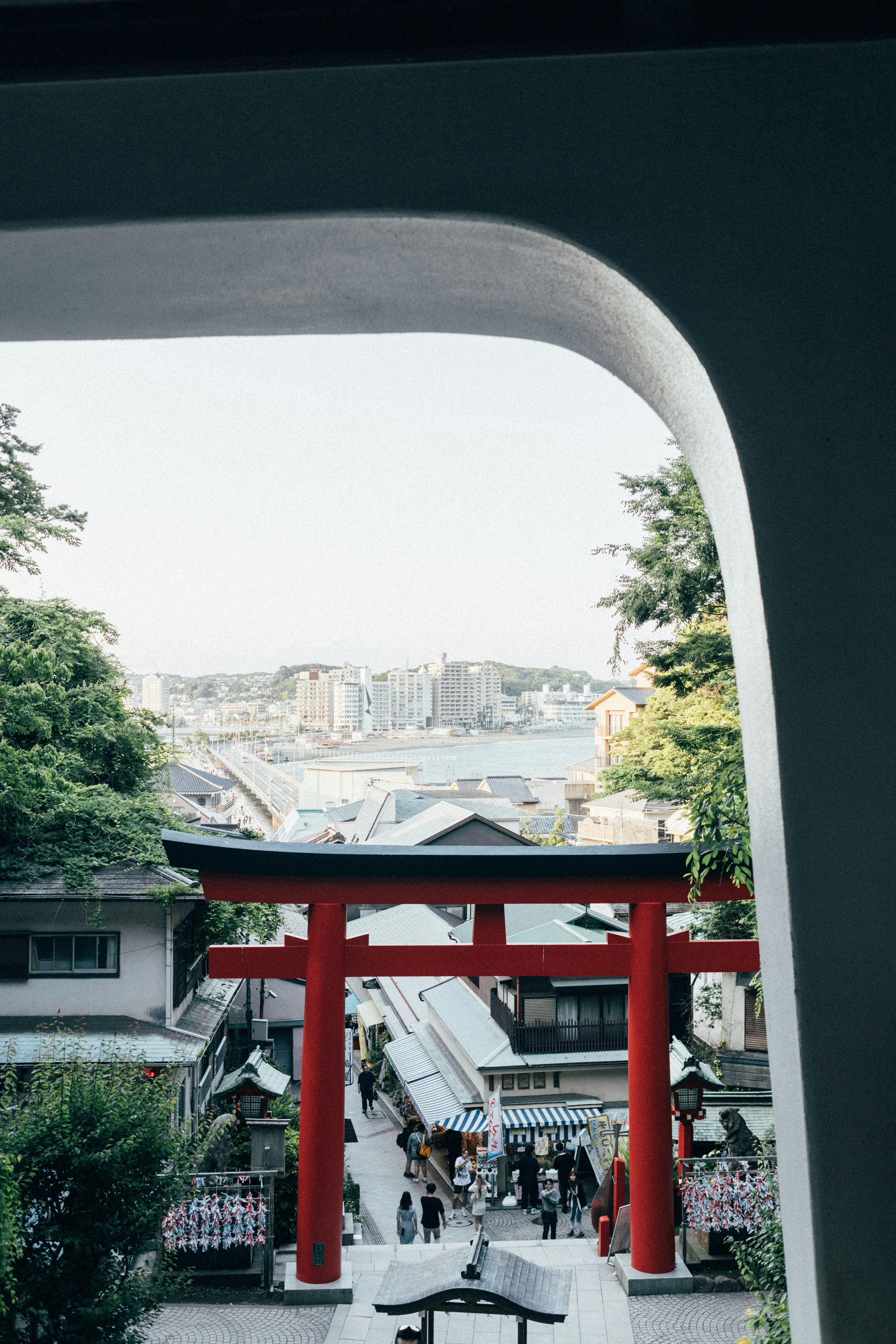 A red tori tori tori tori tori tori tori tori tori tori tori tori tori ...