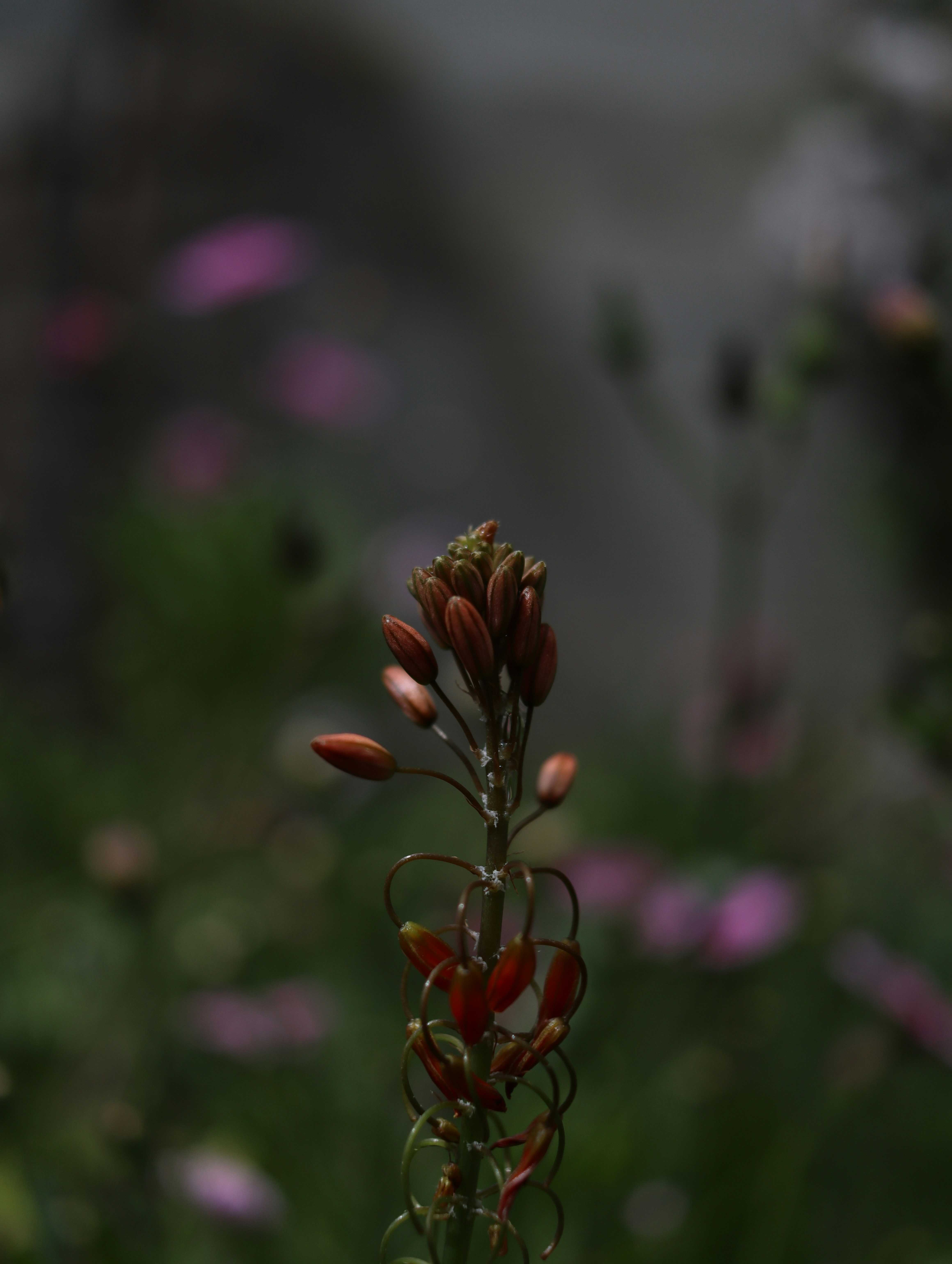 Photo by Lisa Victor with Canon EOS M6 Mark II