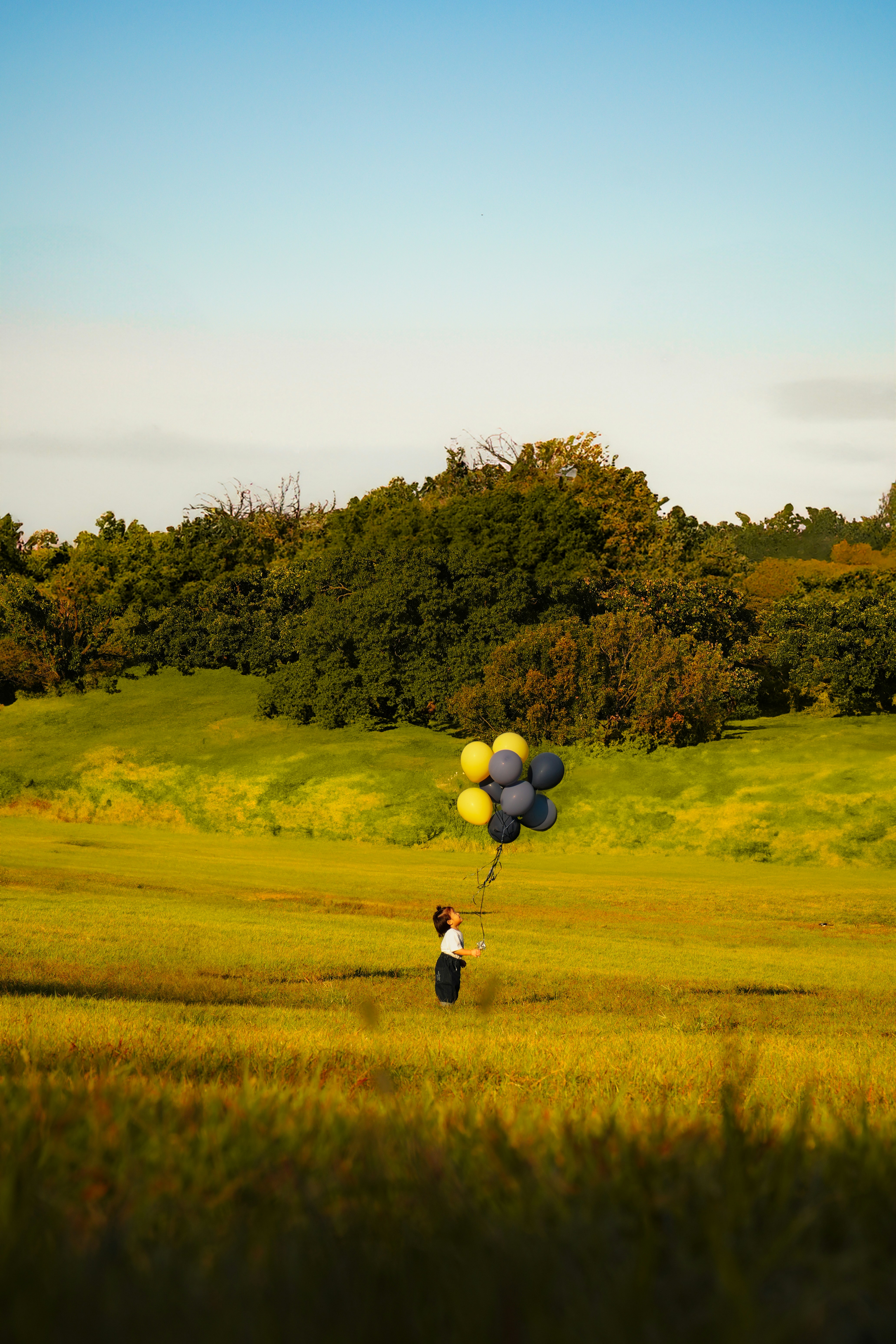 Lone Figure with Navy and Gold Balloons Over a Sunlit Meadow