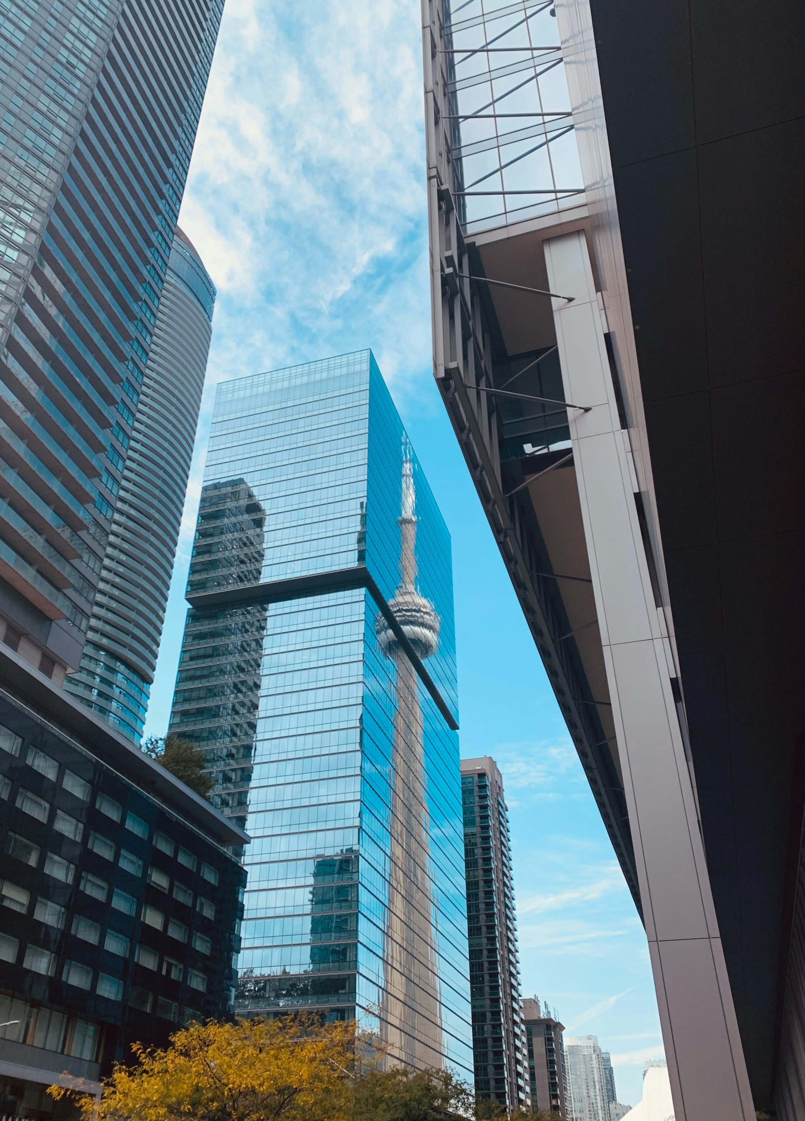 Photo by Holly with Apple iPhone XR