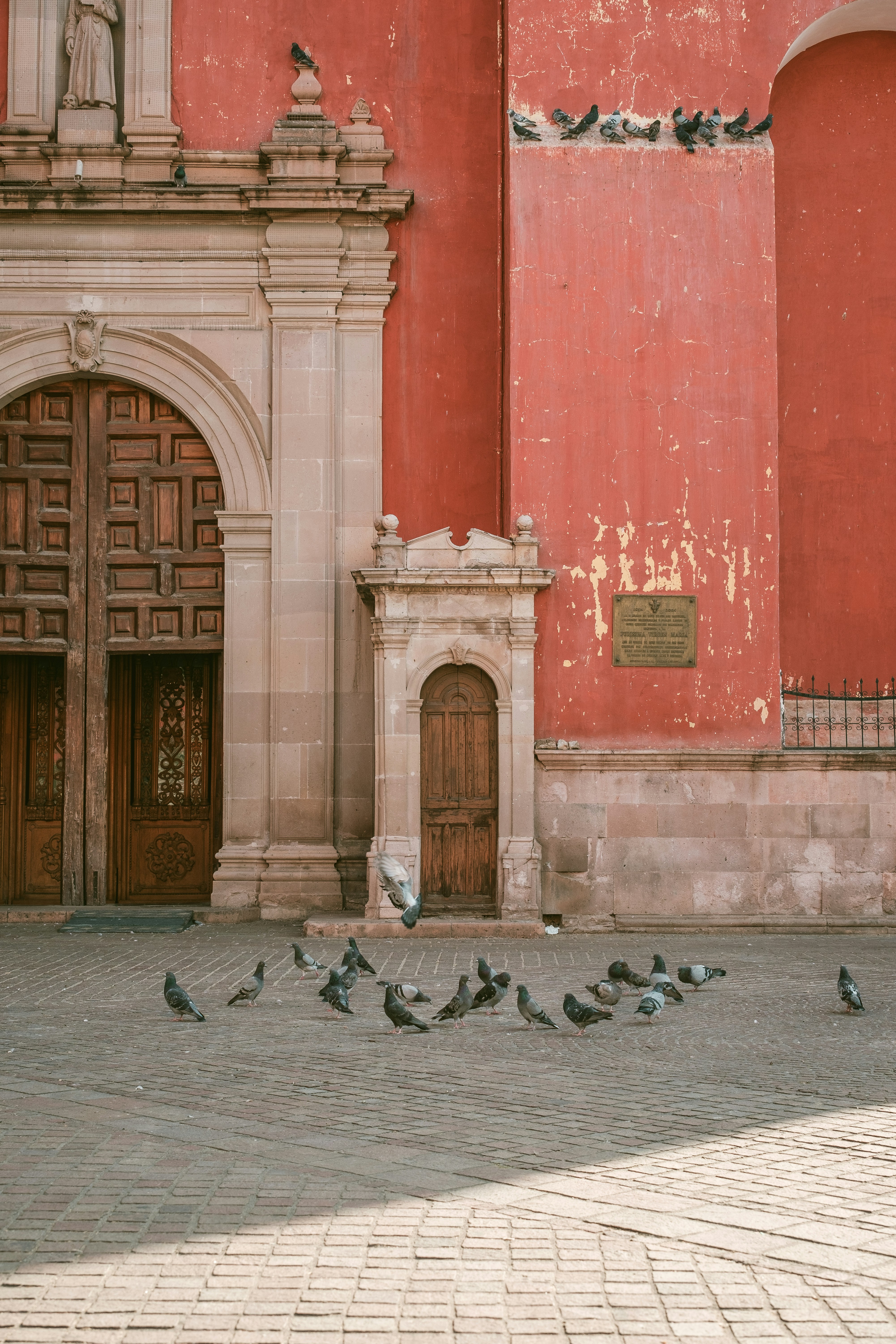 Pigeons at the Threshold: A Weathered Cathedral Facade