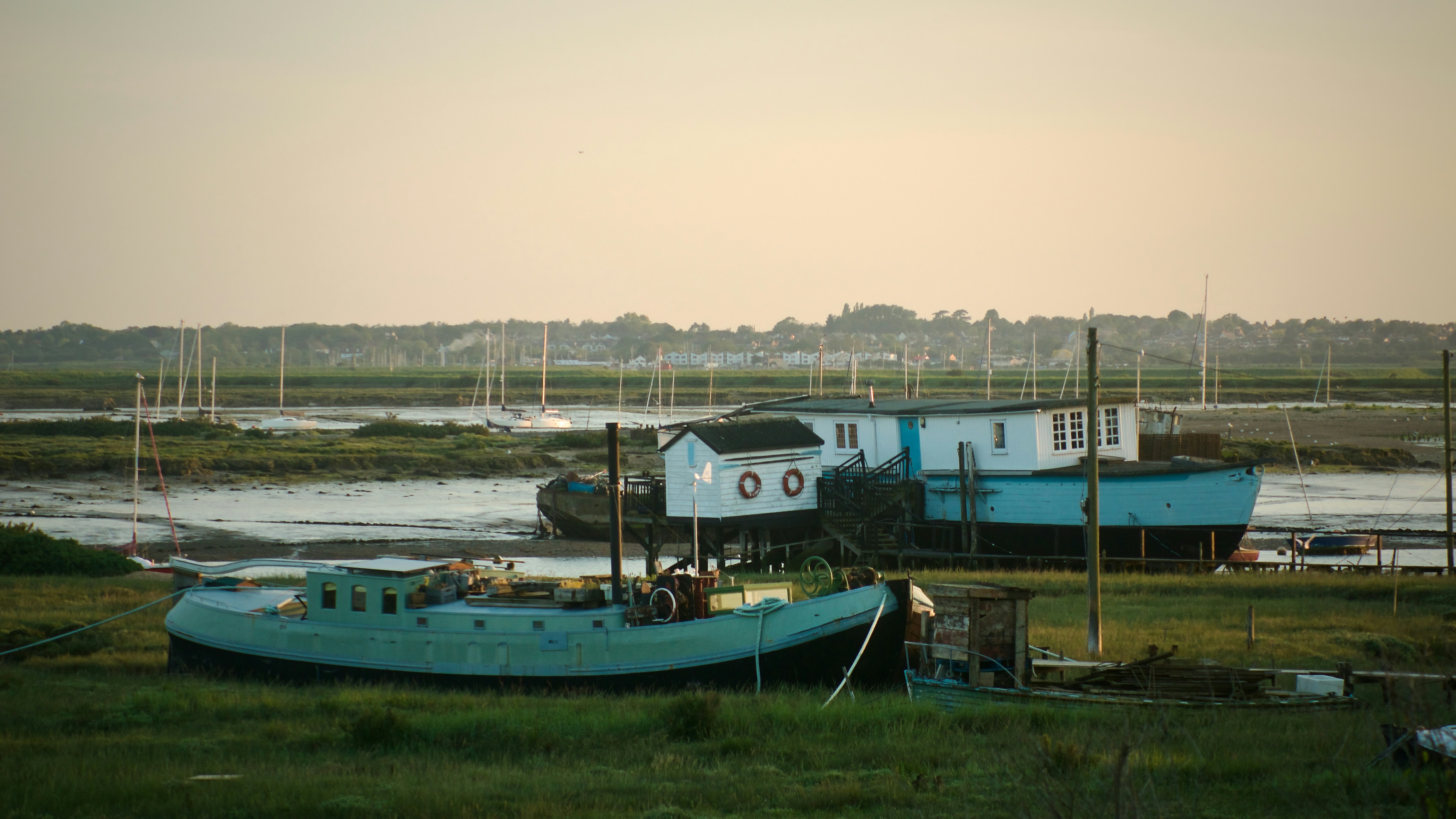 Salt Marsh Pictures | Download Free Images on Unsplash