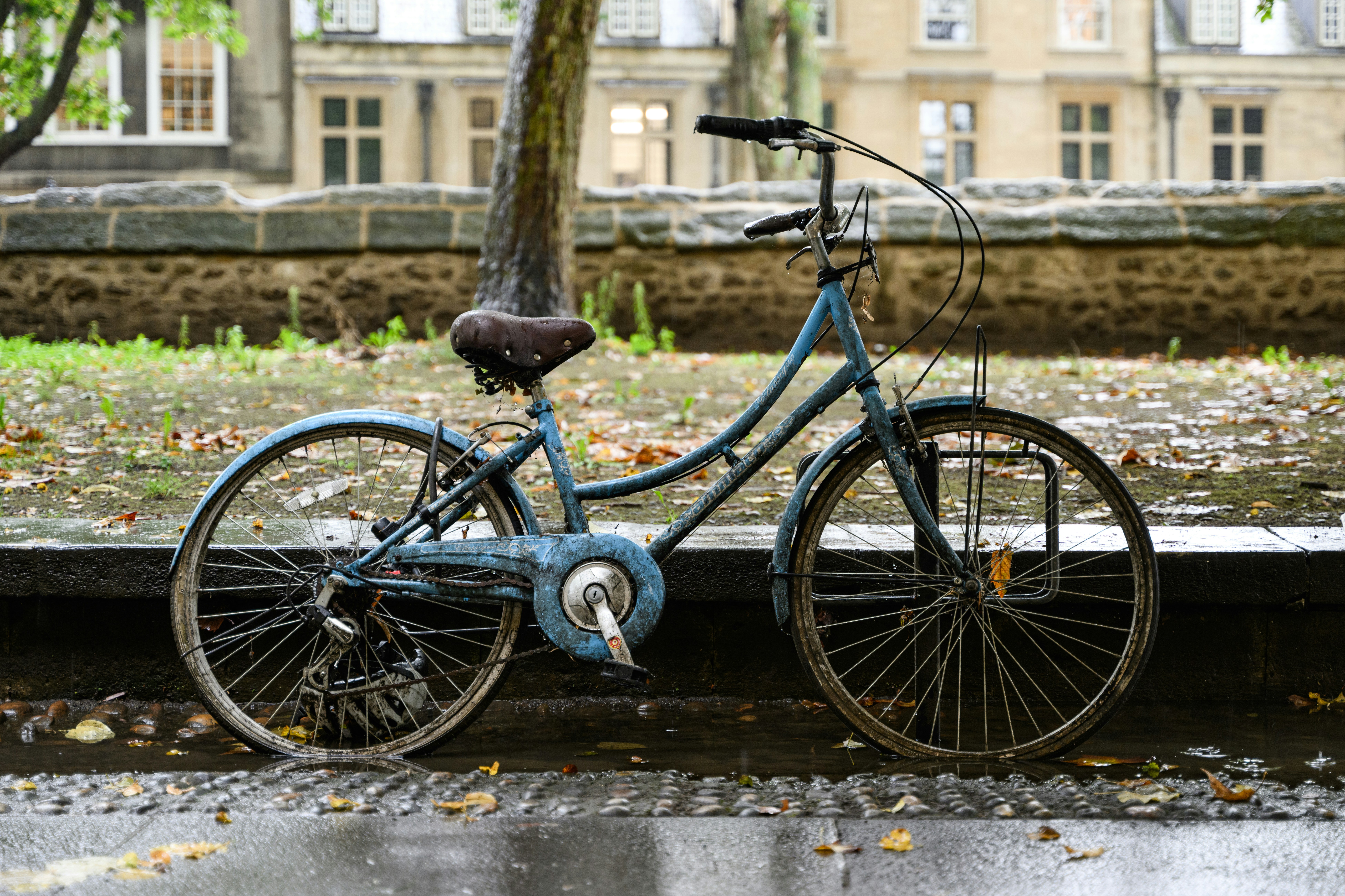 A blue bicycle parked next to a tree photo – Free Bike Image on Unsplash