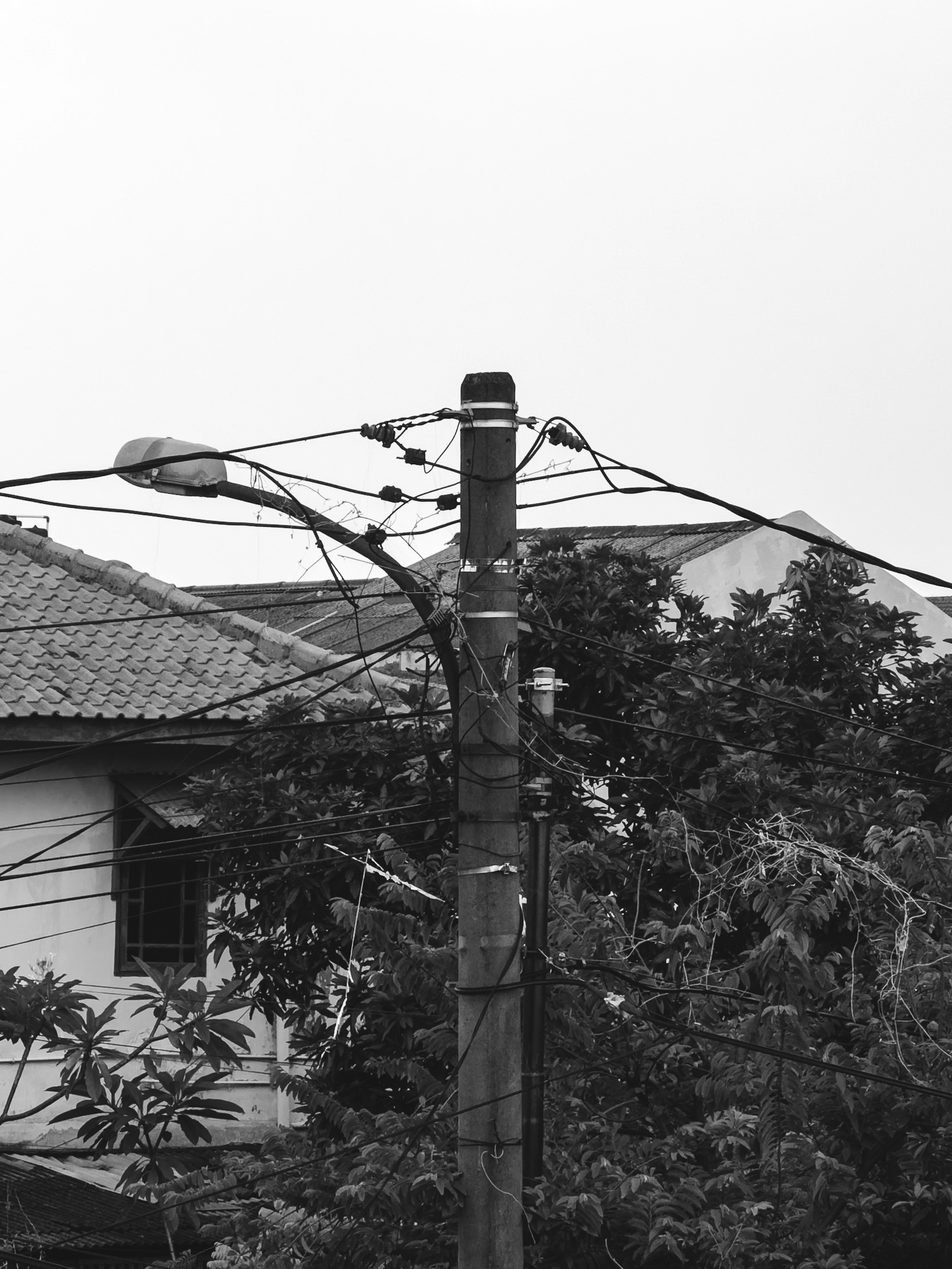 Pole and Wires: A Quiet Urban Portrait in Monochrome
