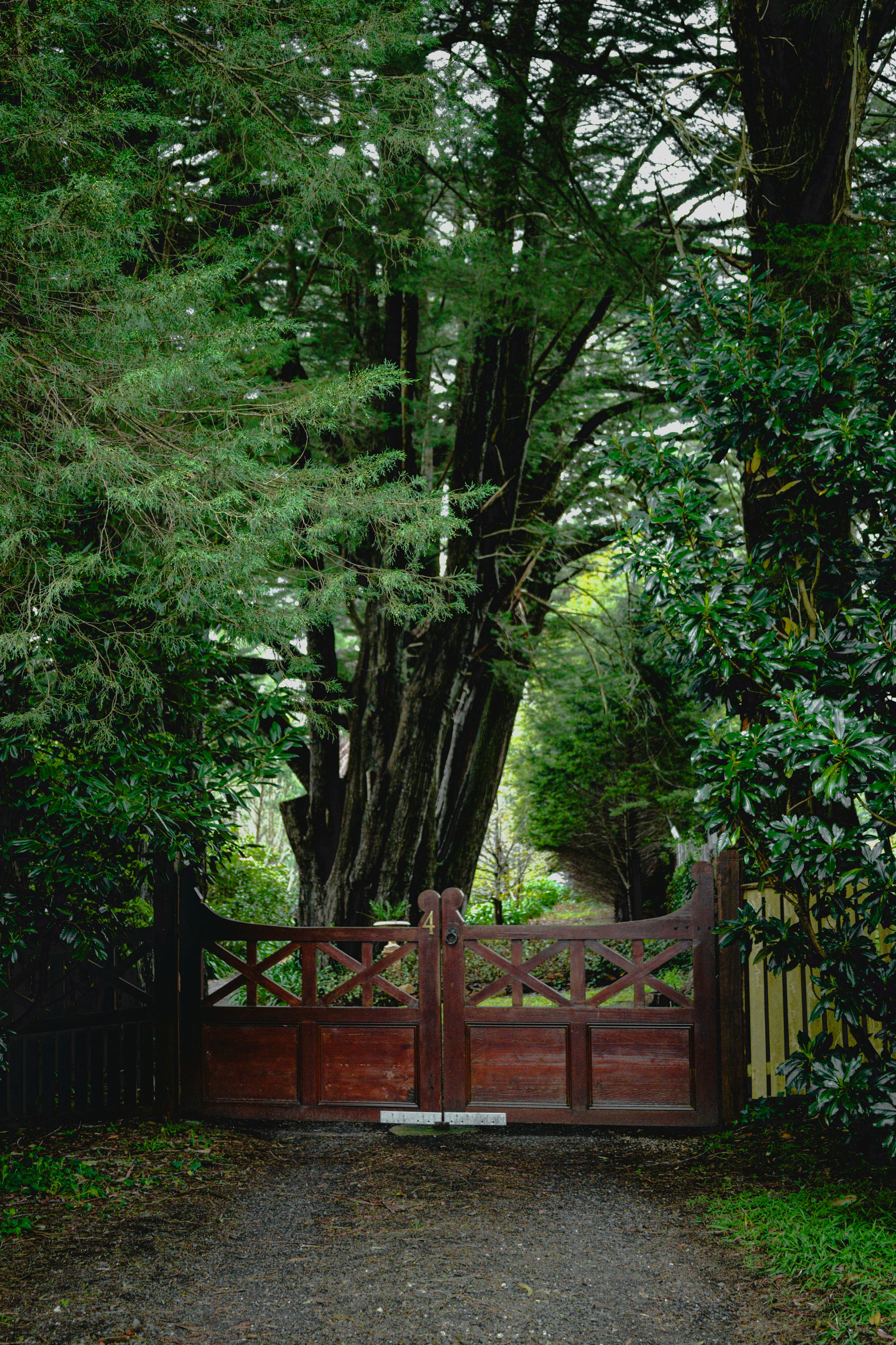 Gateway at the Edge of a Green Cathedral