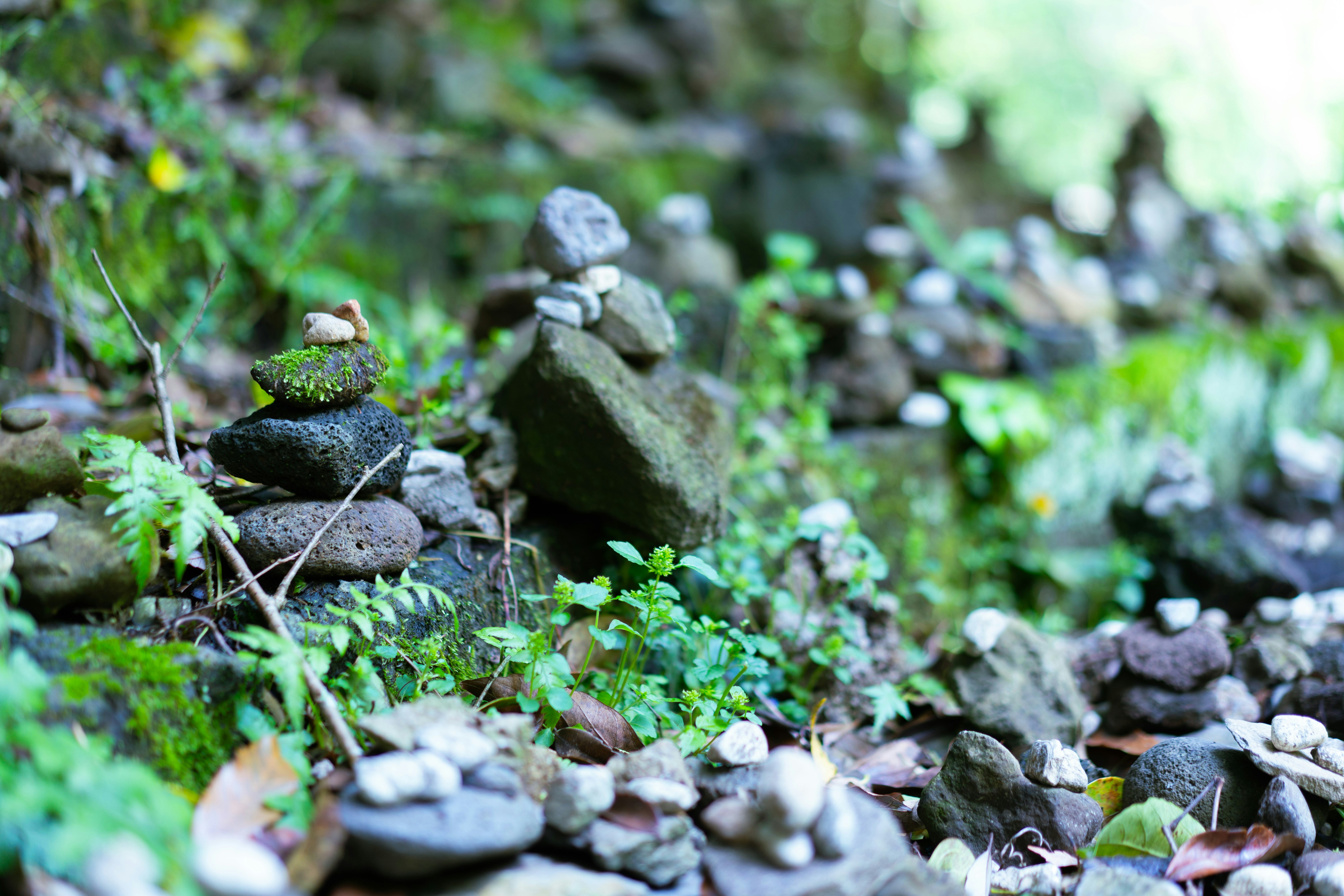 Pebble Towers in a Mossy Quiet: A Garden of Stone Cairns