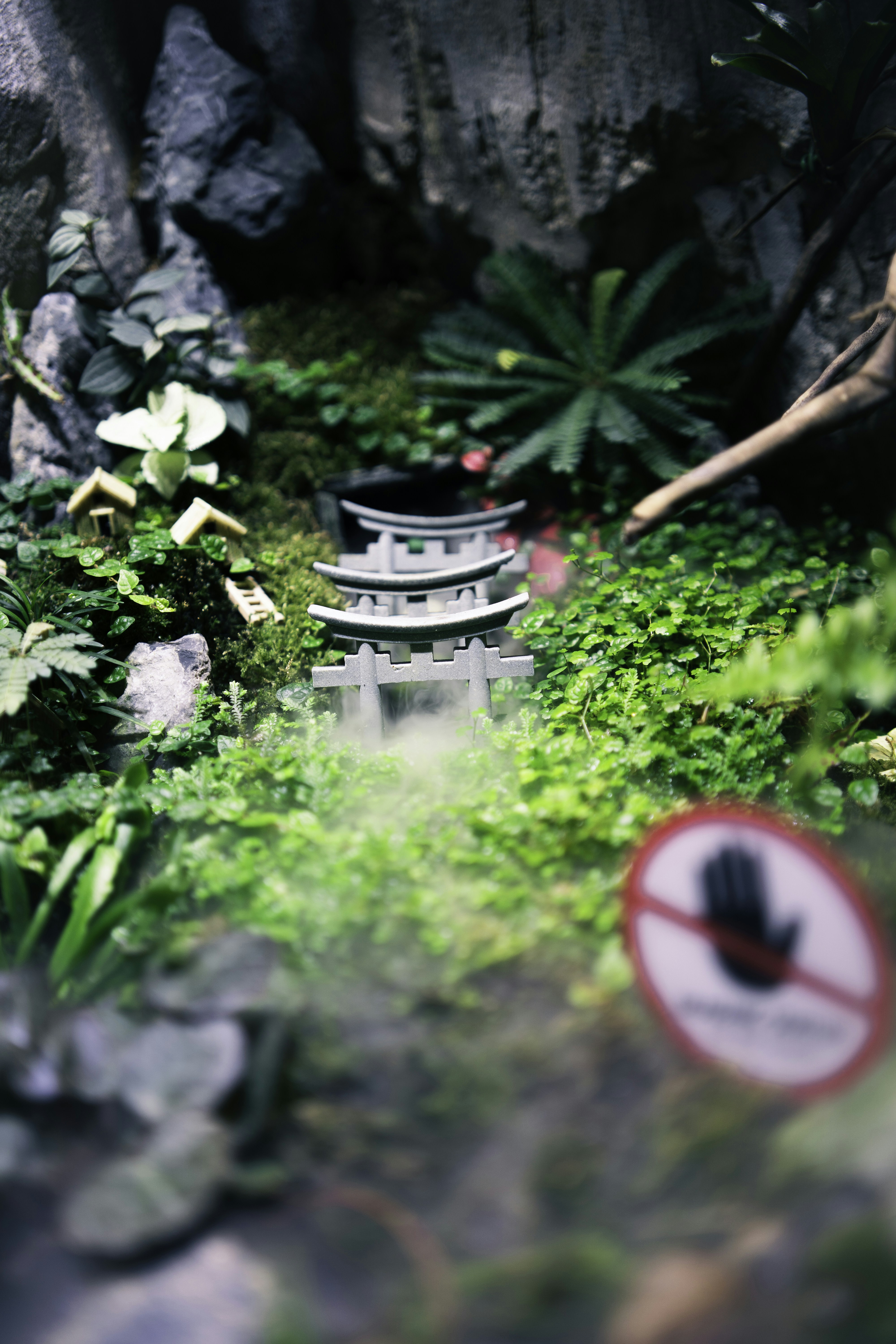 Miniature Torii Way Through a Mossy Zen Garden
