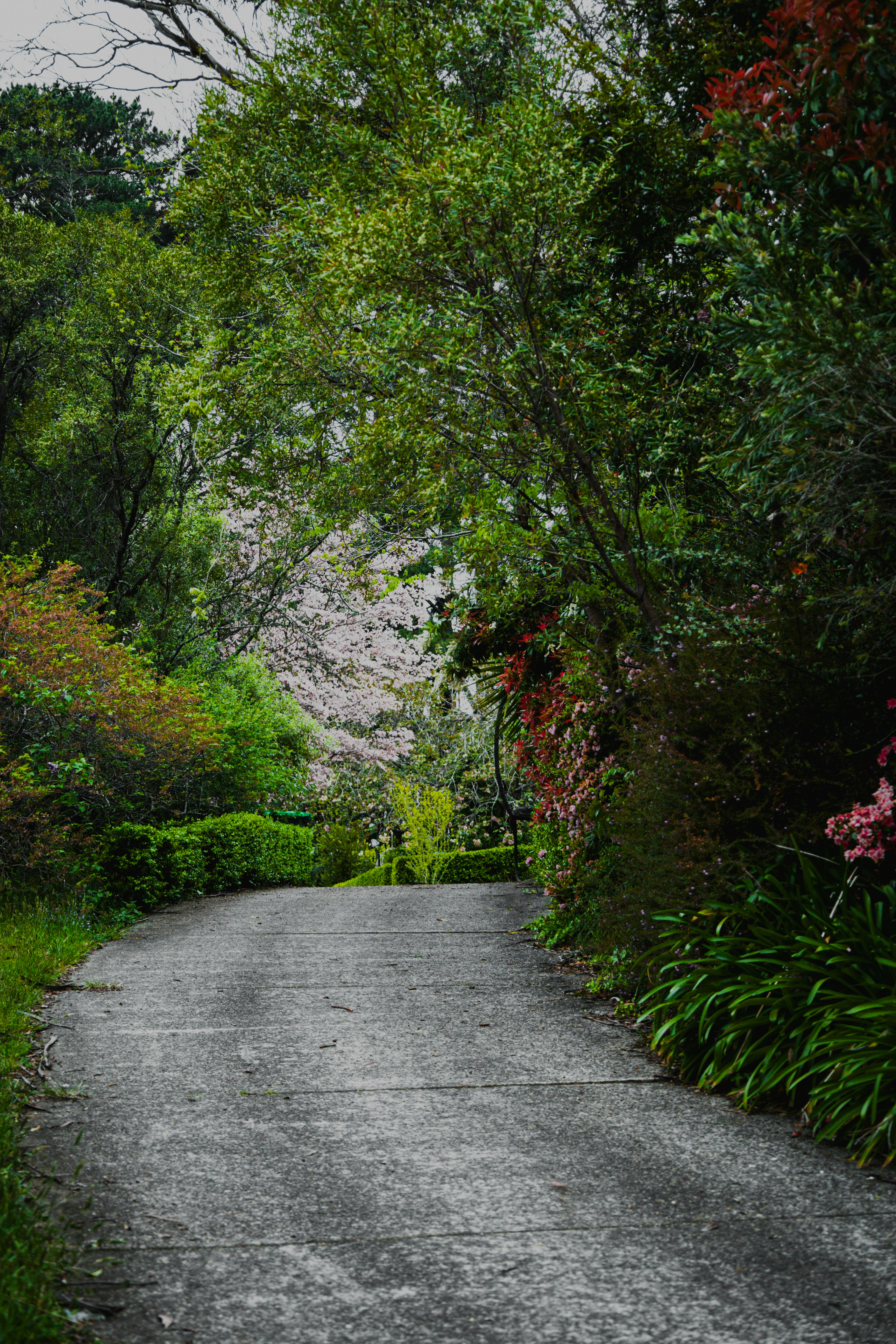 Photo by Matthew McLennan with Canon EOS RP