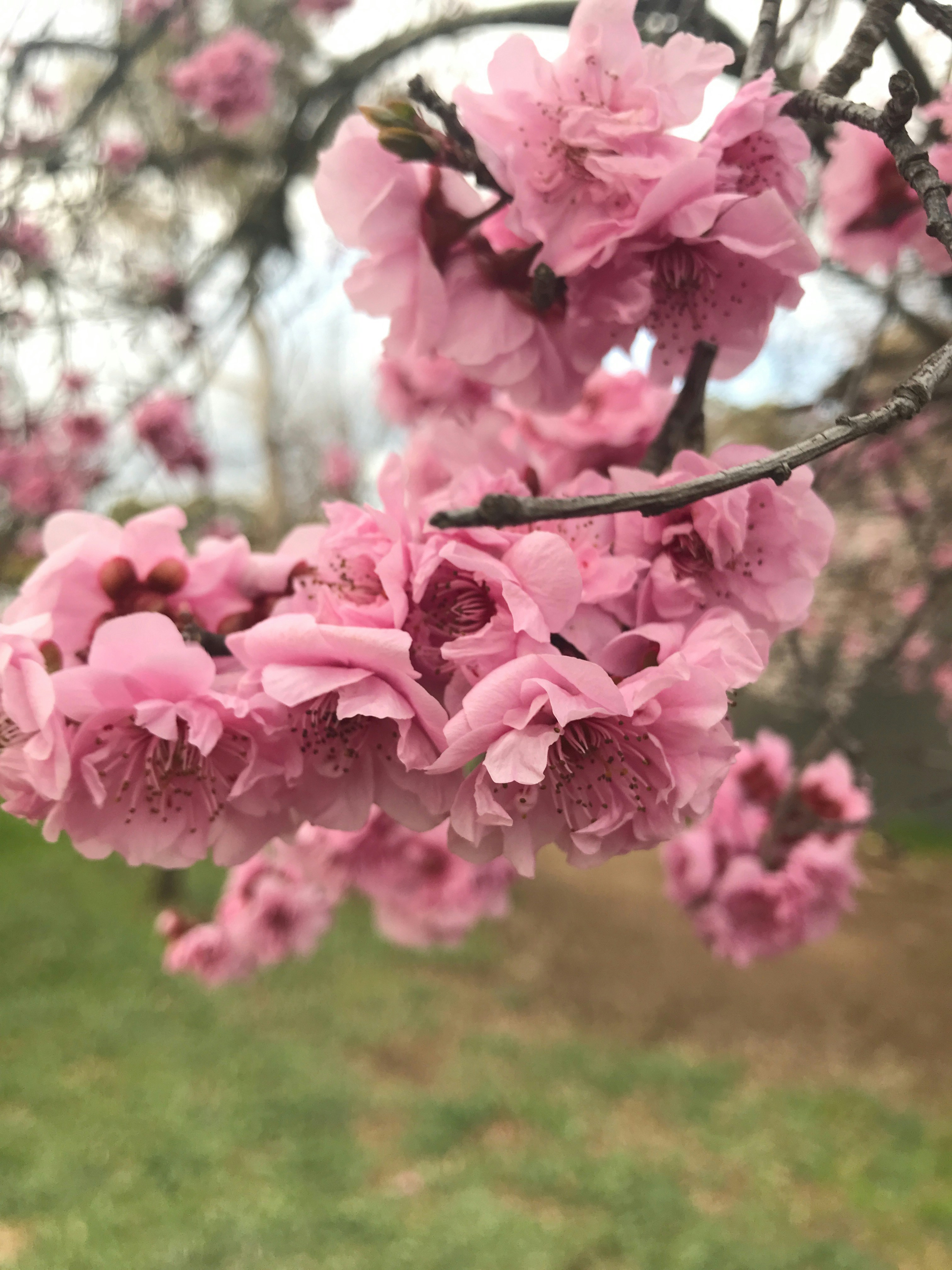 Thomas Alastair Liu (@ghostantmc) | Unsplash Photo Community
