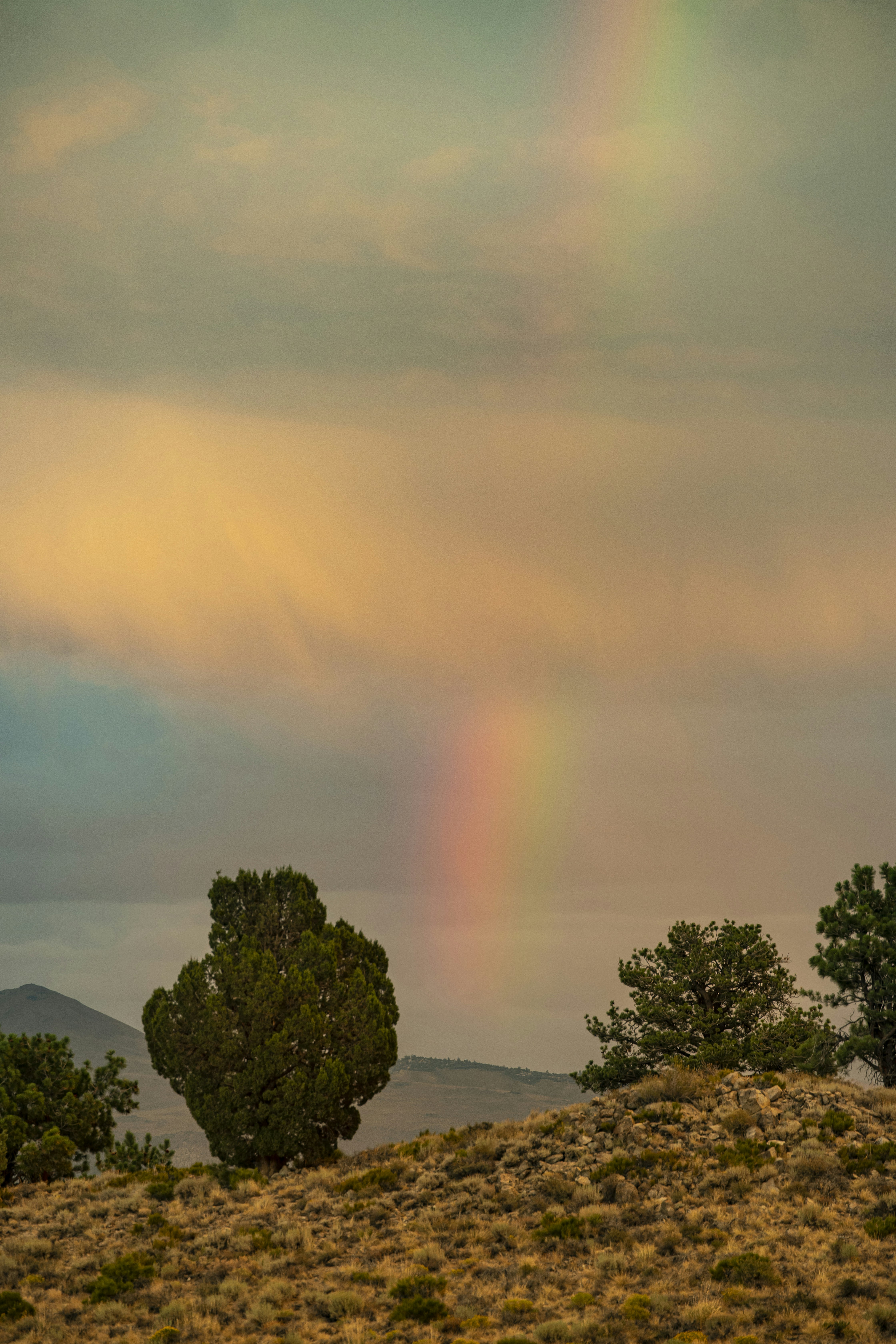 Photo by Leo_Visions with Canon EOS Ra