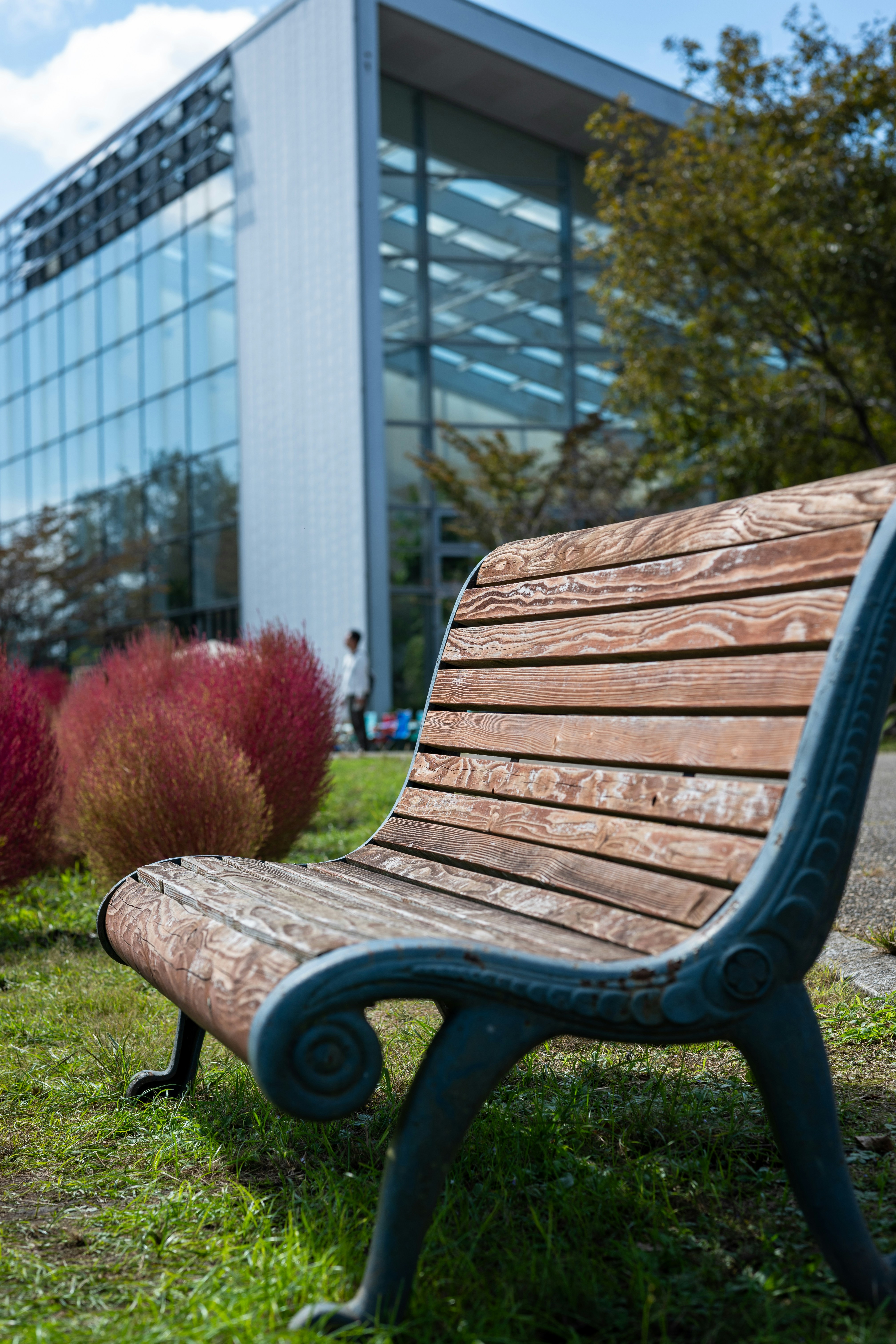 Sunlit Park Bench Framed by a Glass-Fronted Campus