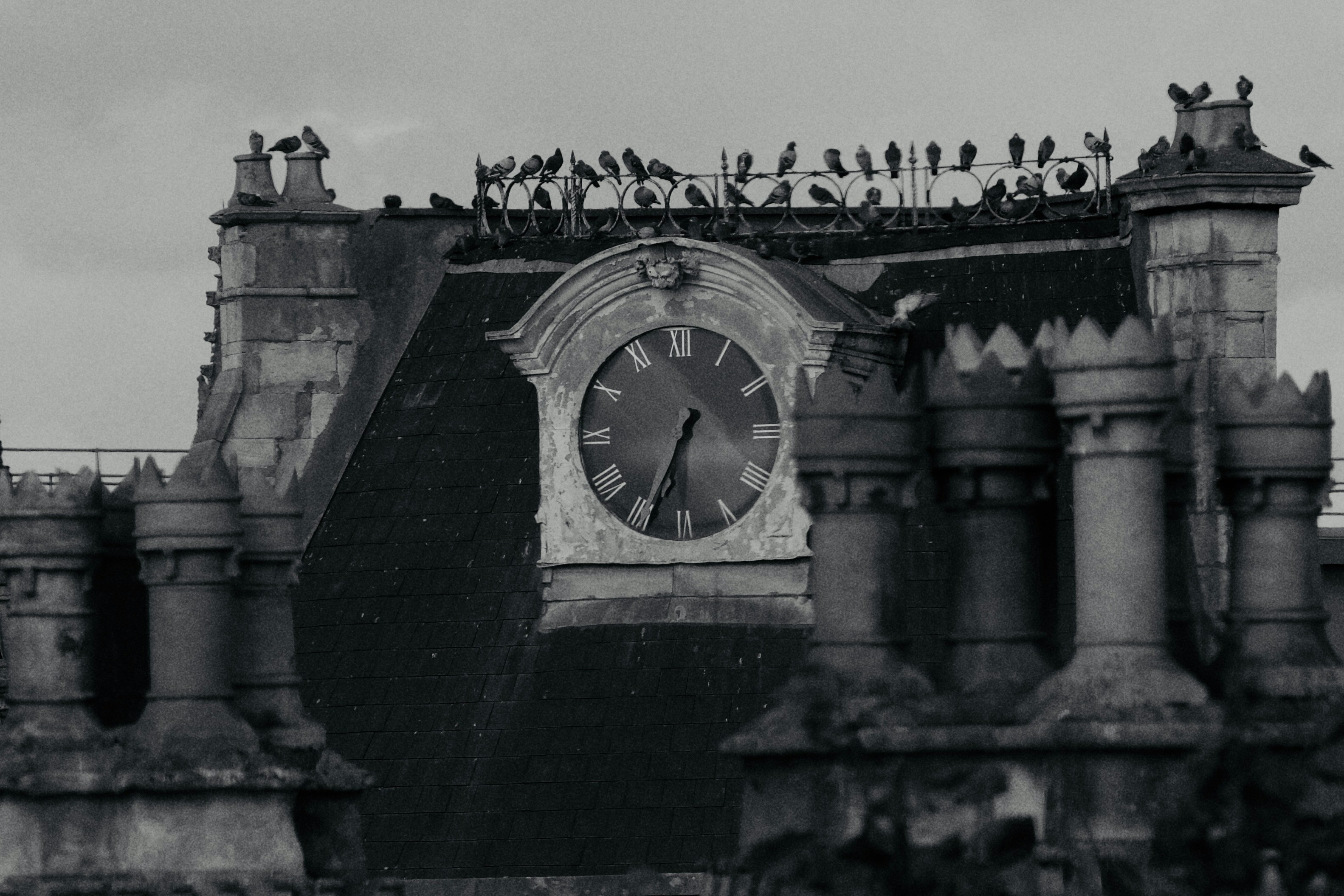 Roman Clock Surrounded by Rooftop Pigeons