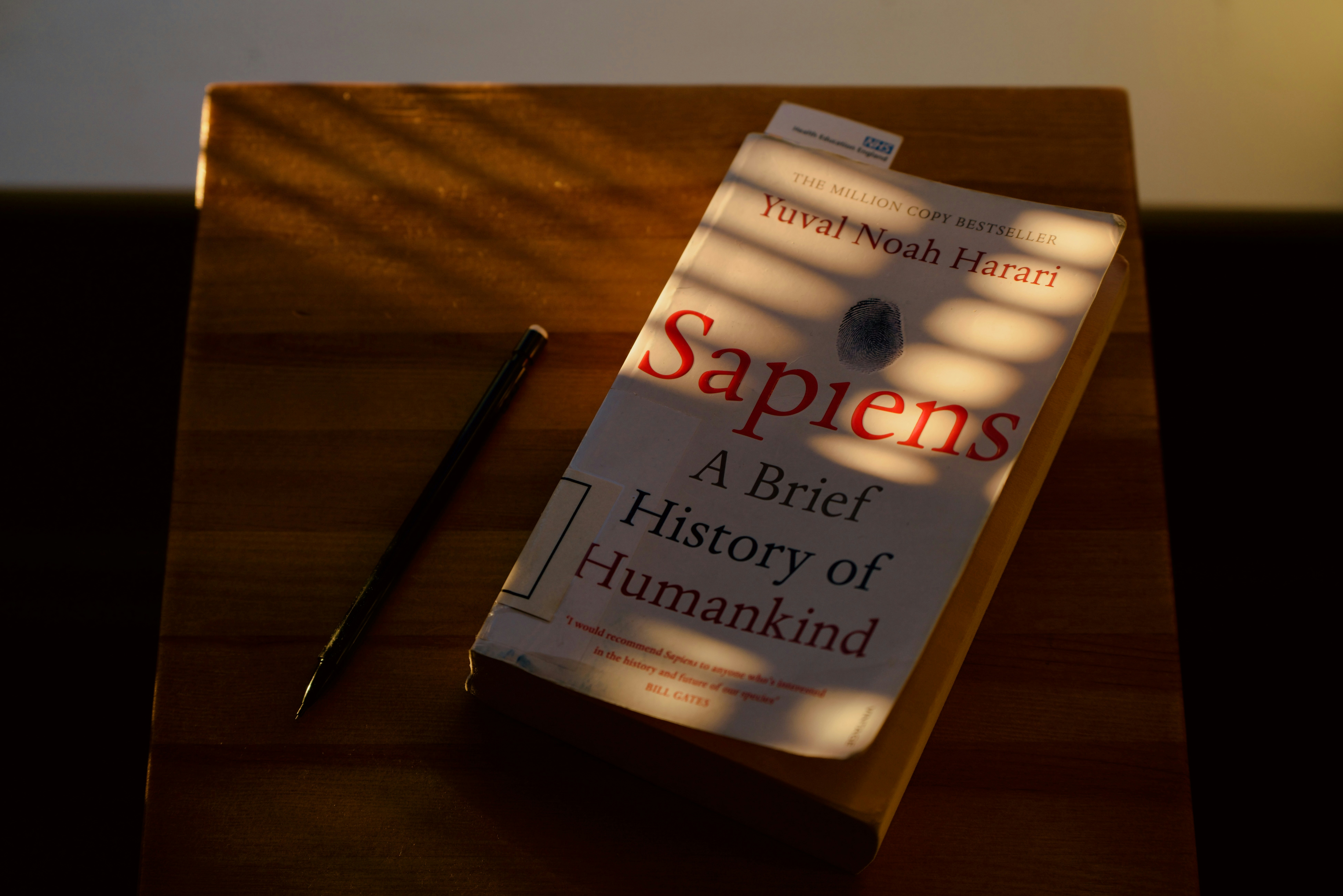 Sapiens in Amber Light: A Quiet Desk Moment