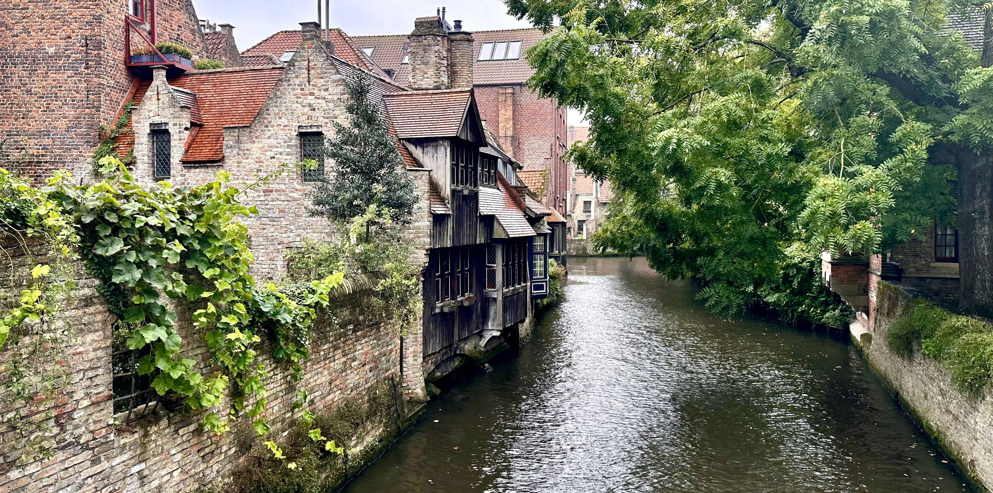 A river running through a city next to tall buildings photo – Free ...