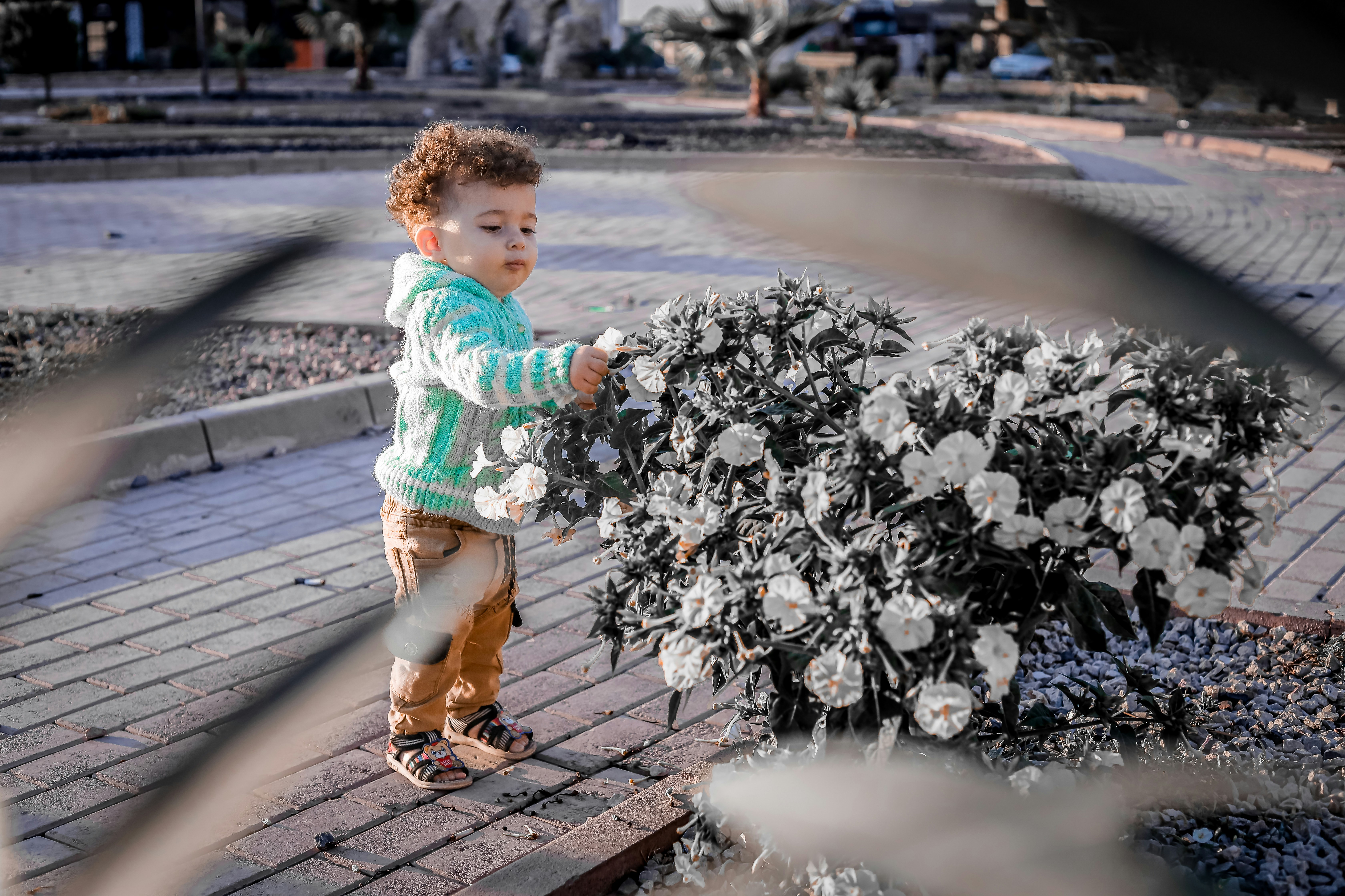 Beautiful child standing next to flowers during the morning in a park in Syria