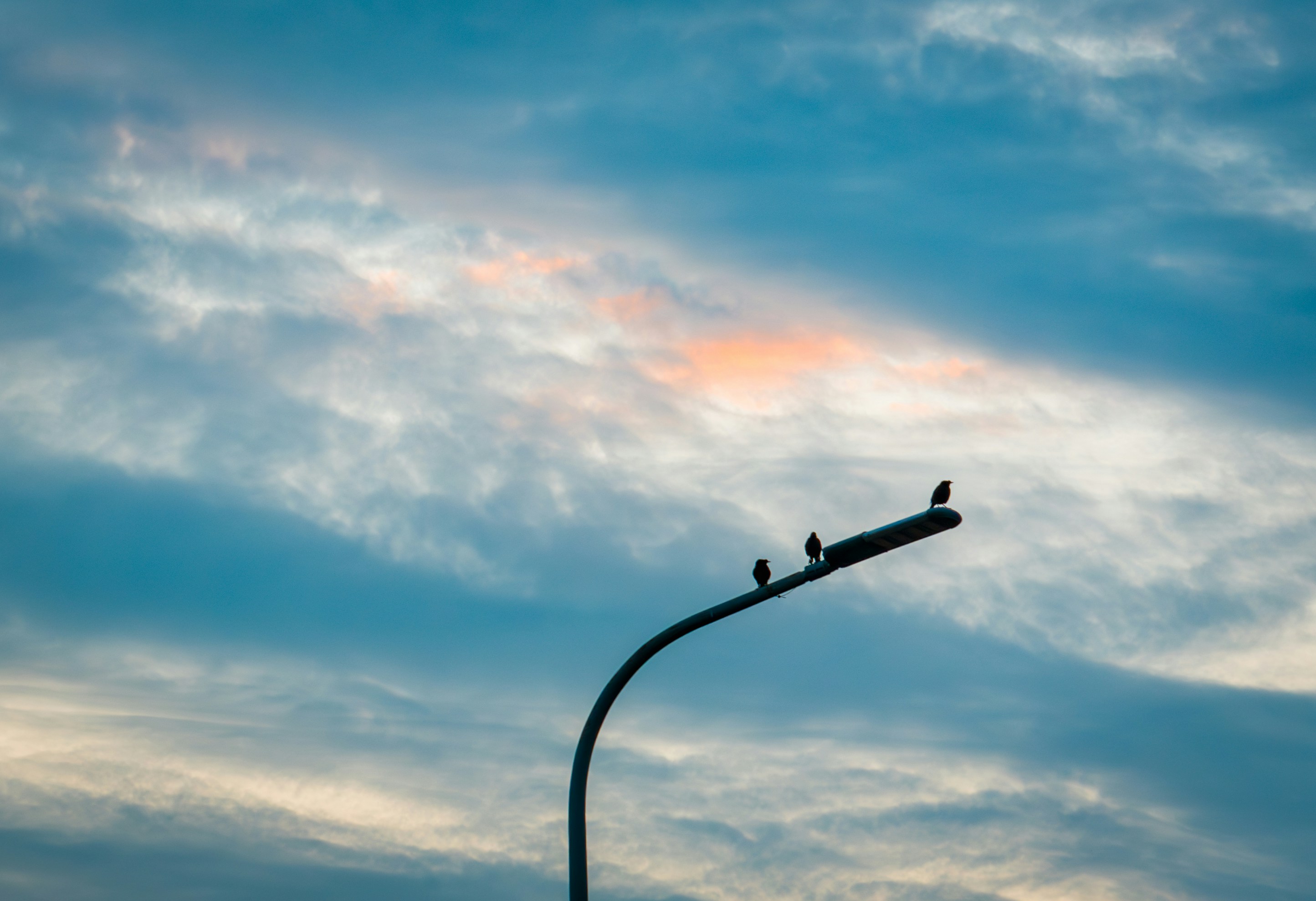 Sample photo from Hasselblad X2D 100C