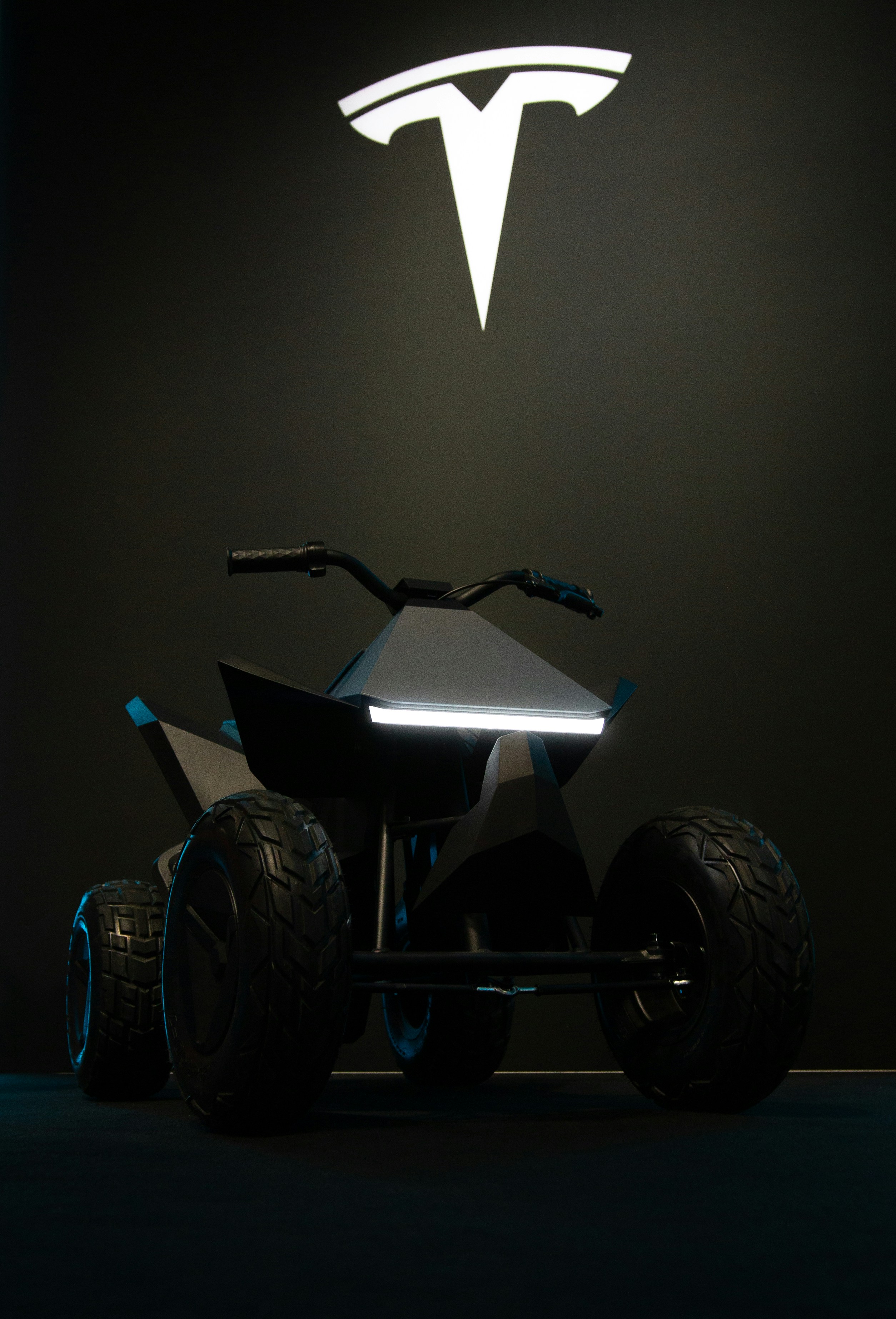 Tesla’s Silent Sentinel: A Dark Exhibit Under the Logo Glow