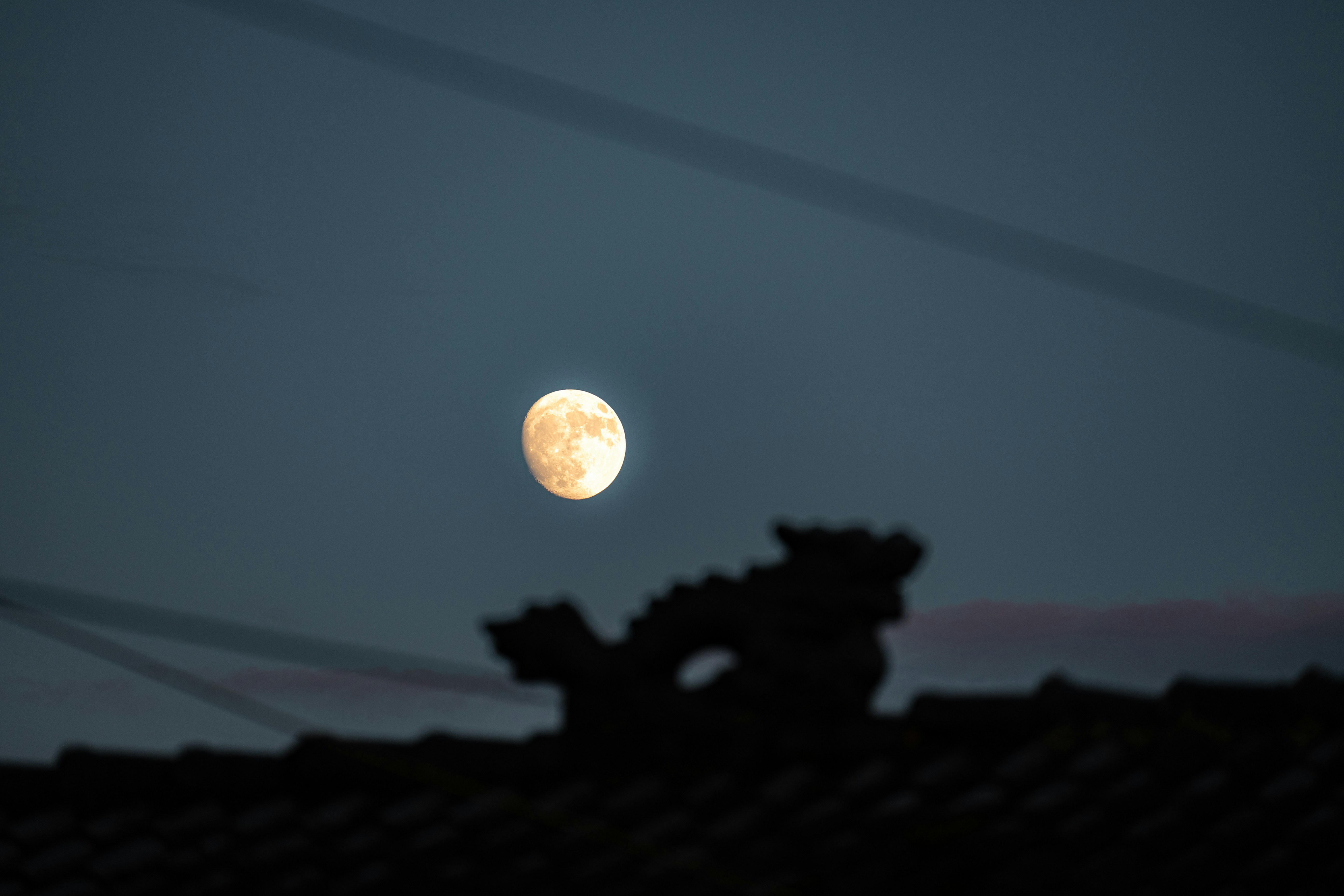 Moon Over the Dragon-Guarded Rooftop at Dusk