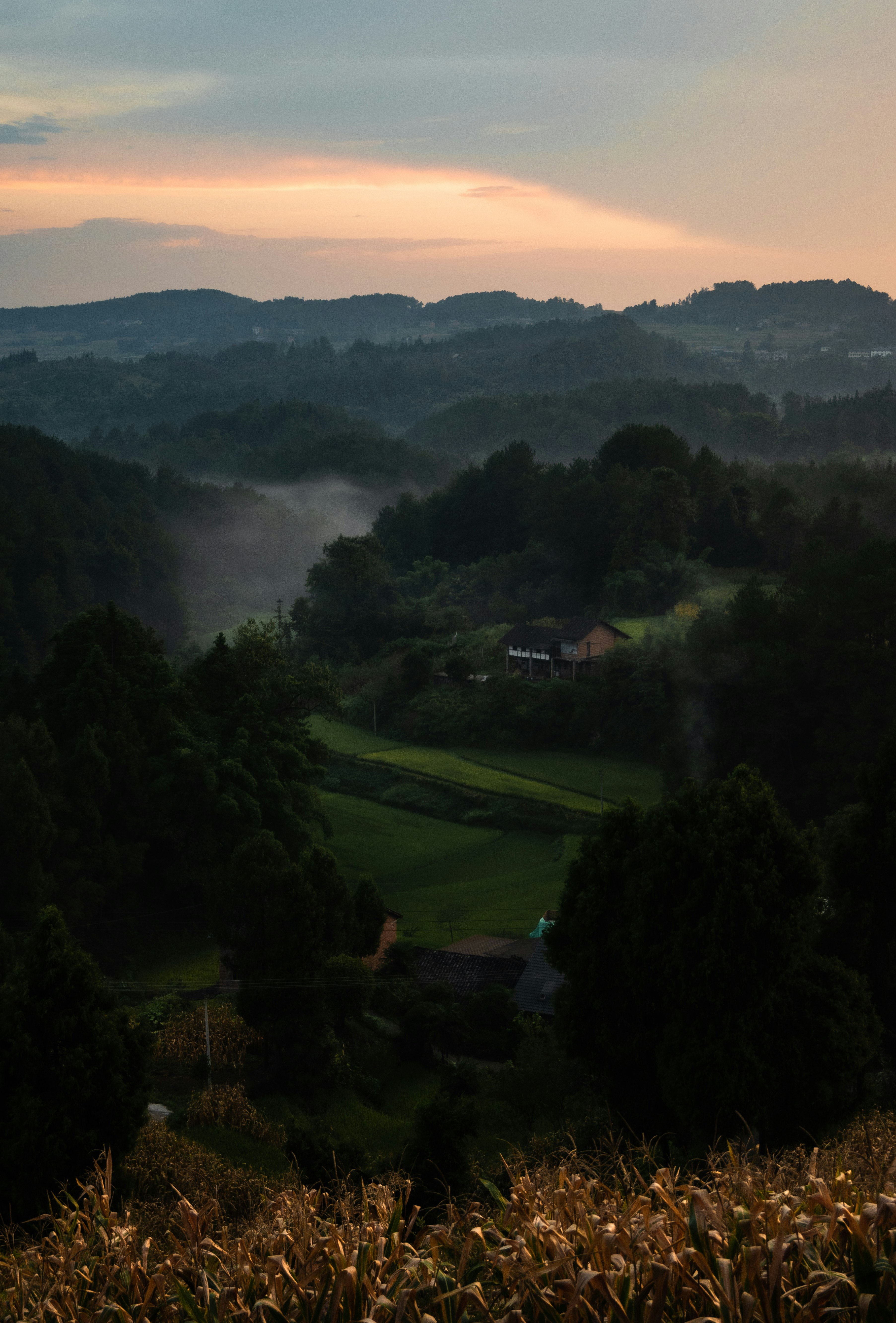 Misty Valley at Sunset: A Quiet Ridge Between Fields
