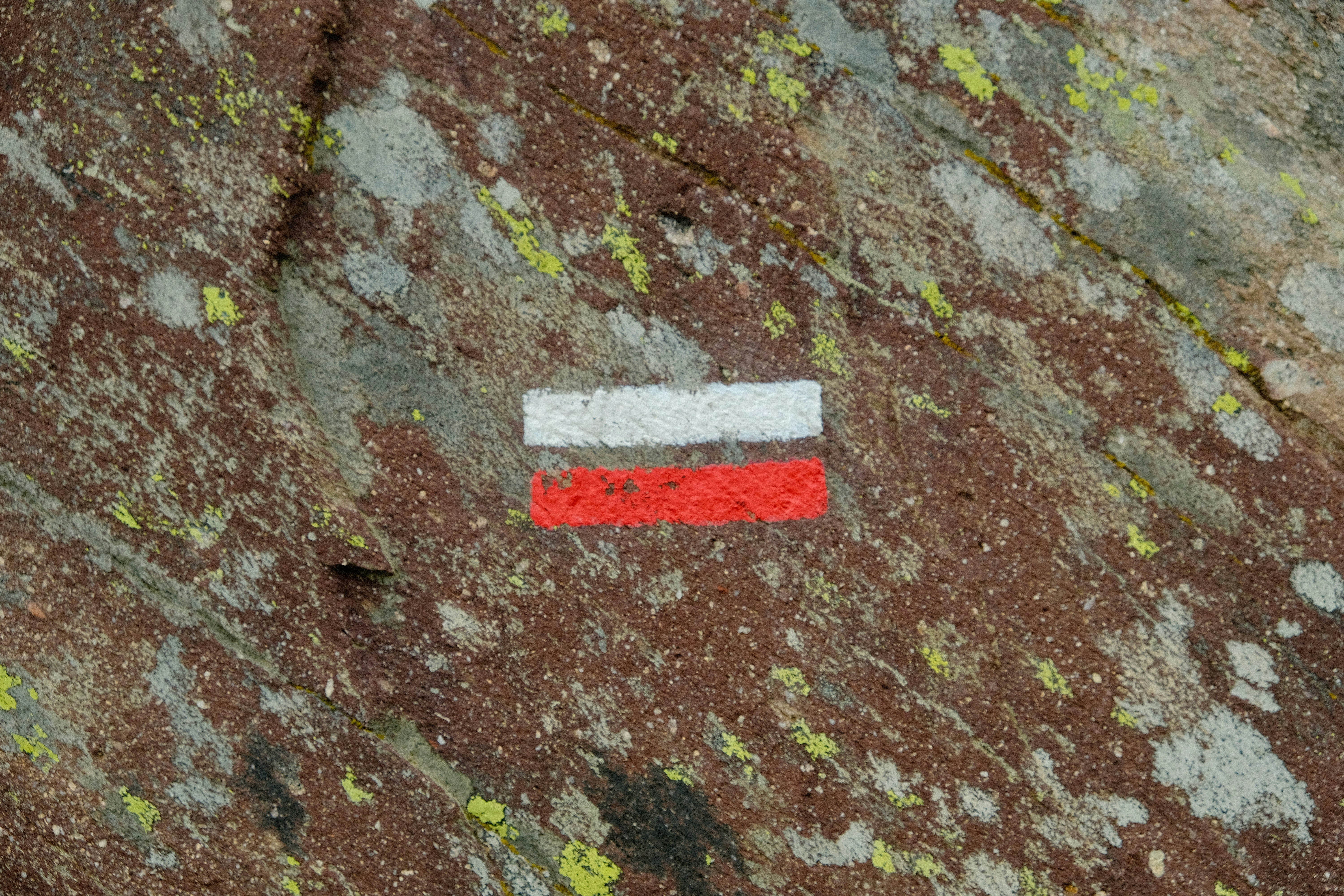 Photo by Rosalie Gdy with Fujifilm X-T20