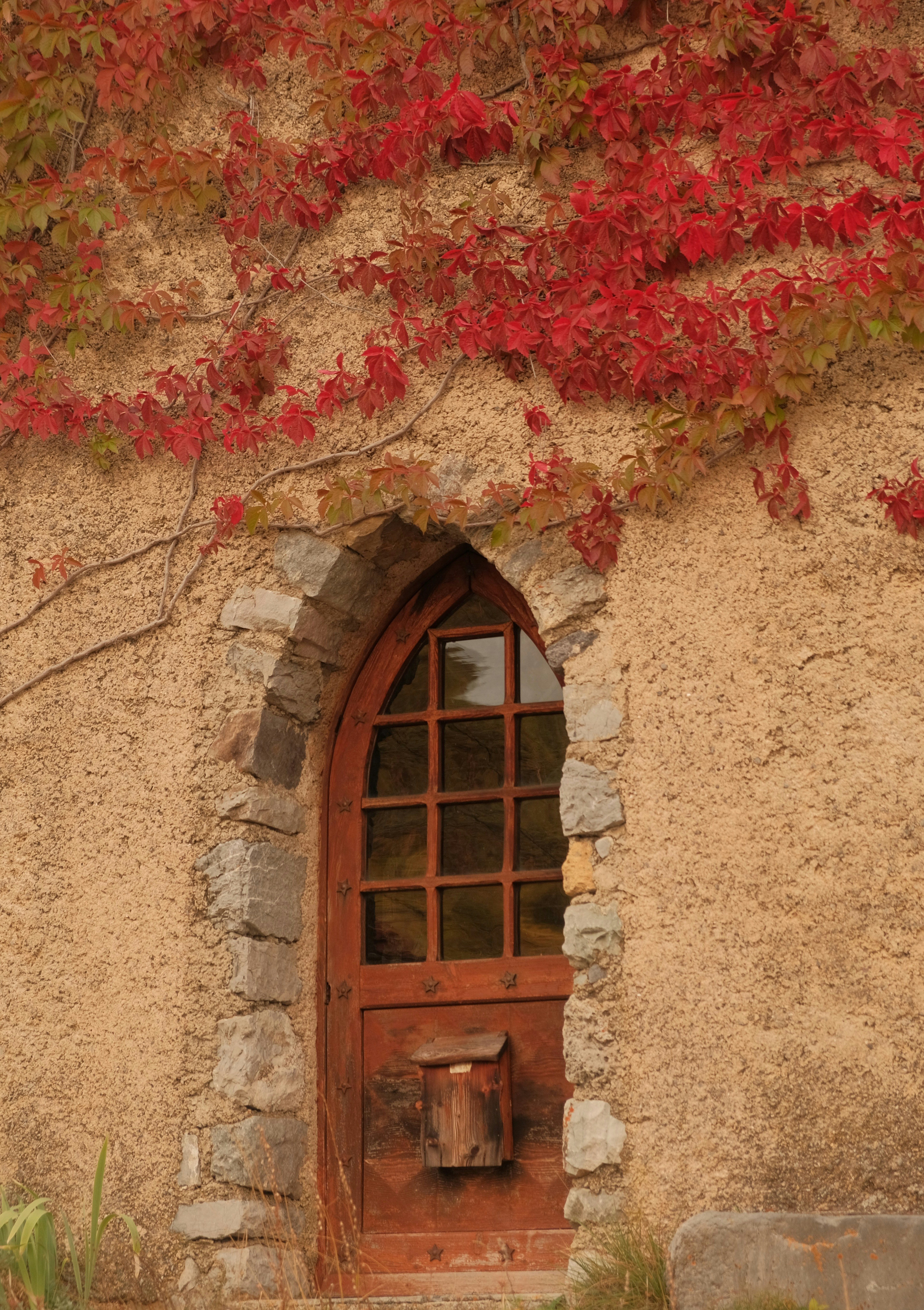 Crimson Ivy Archway: A Weathered Adobe Door Framed by Stone