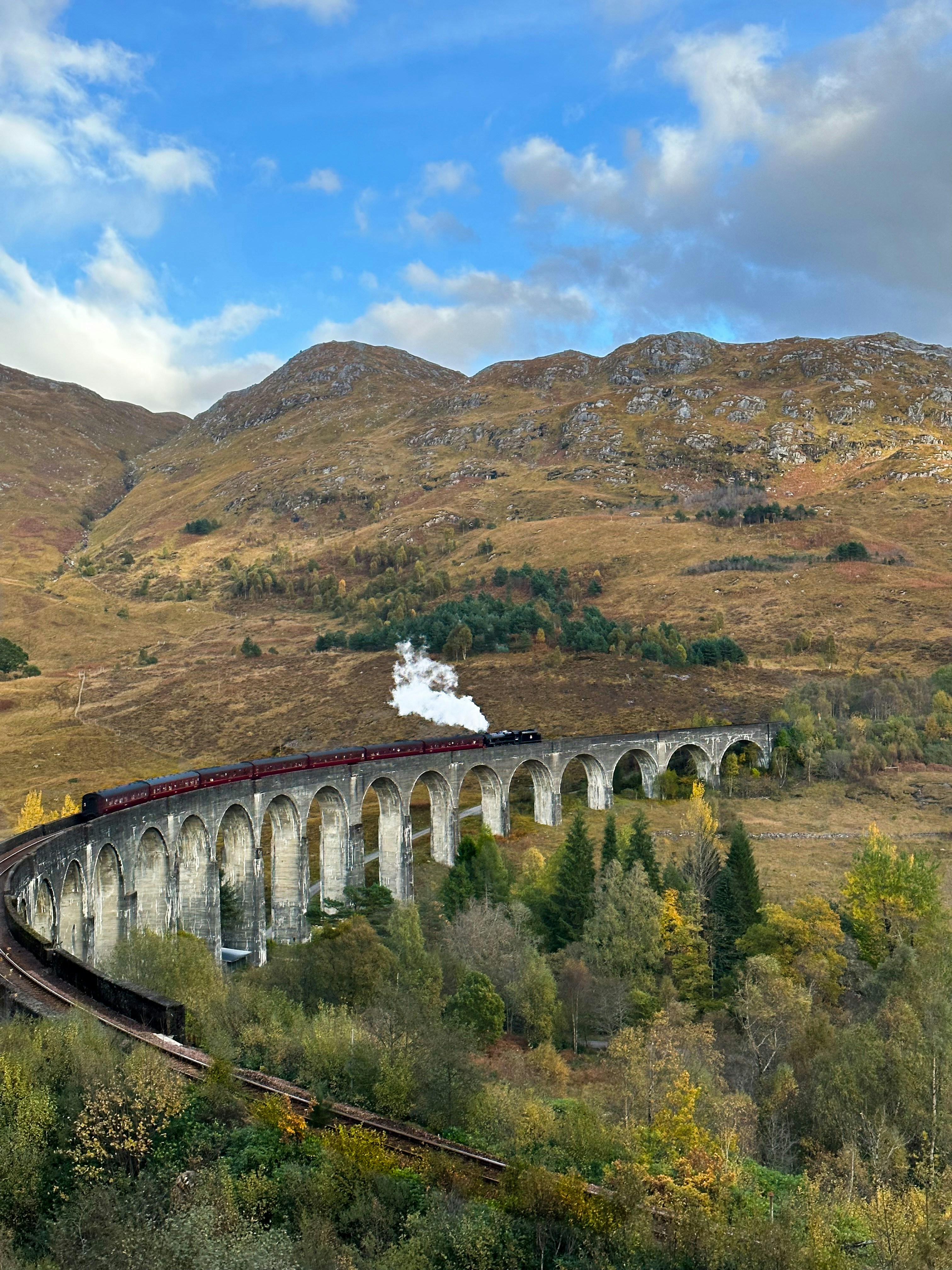 Steam on the Viaduct: A Lonesome Mountain Rail Tale