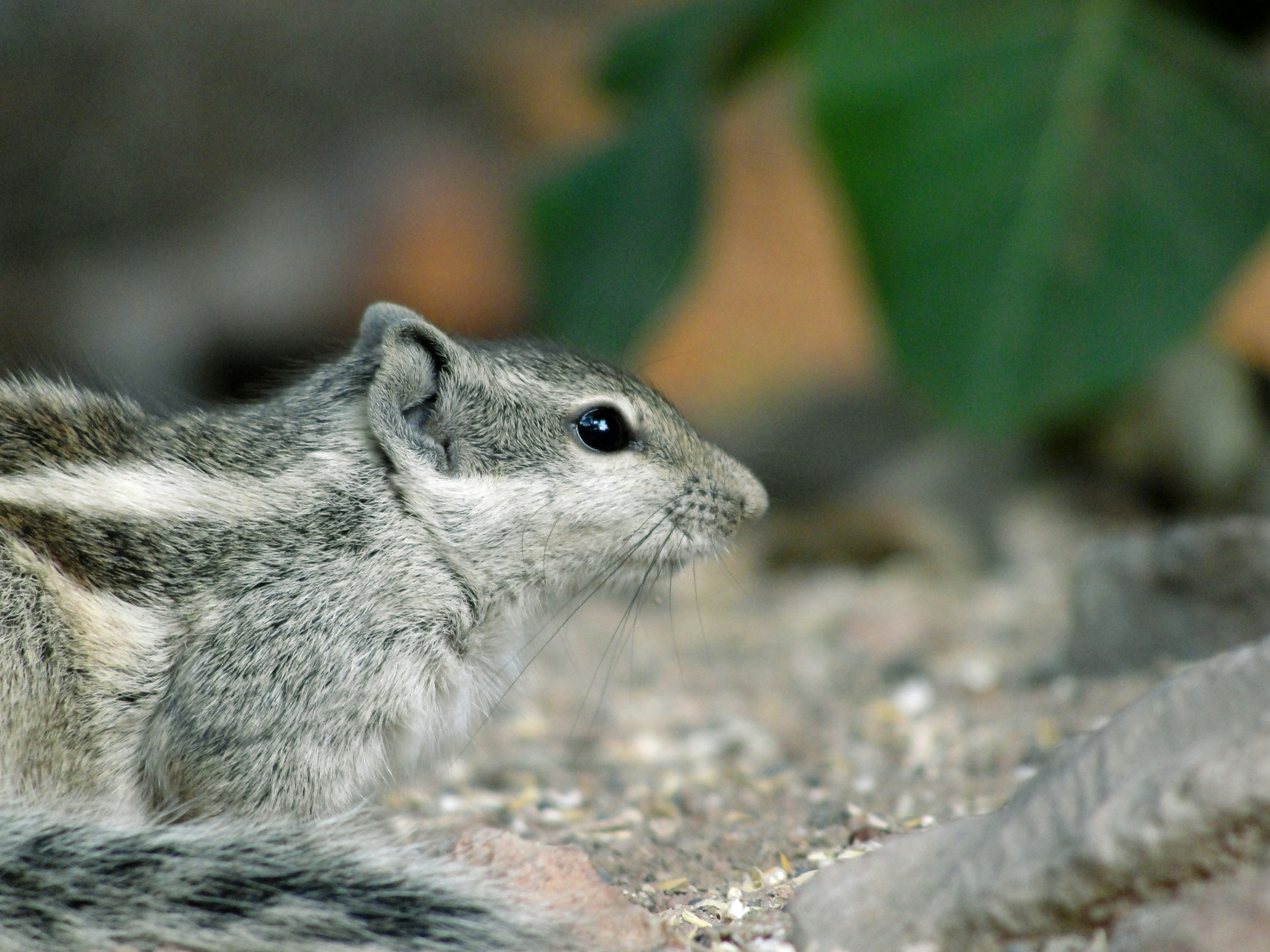 Photo by Abhay Rautela with Sony Cyber-shot H20