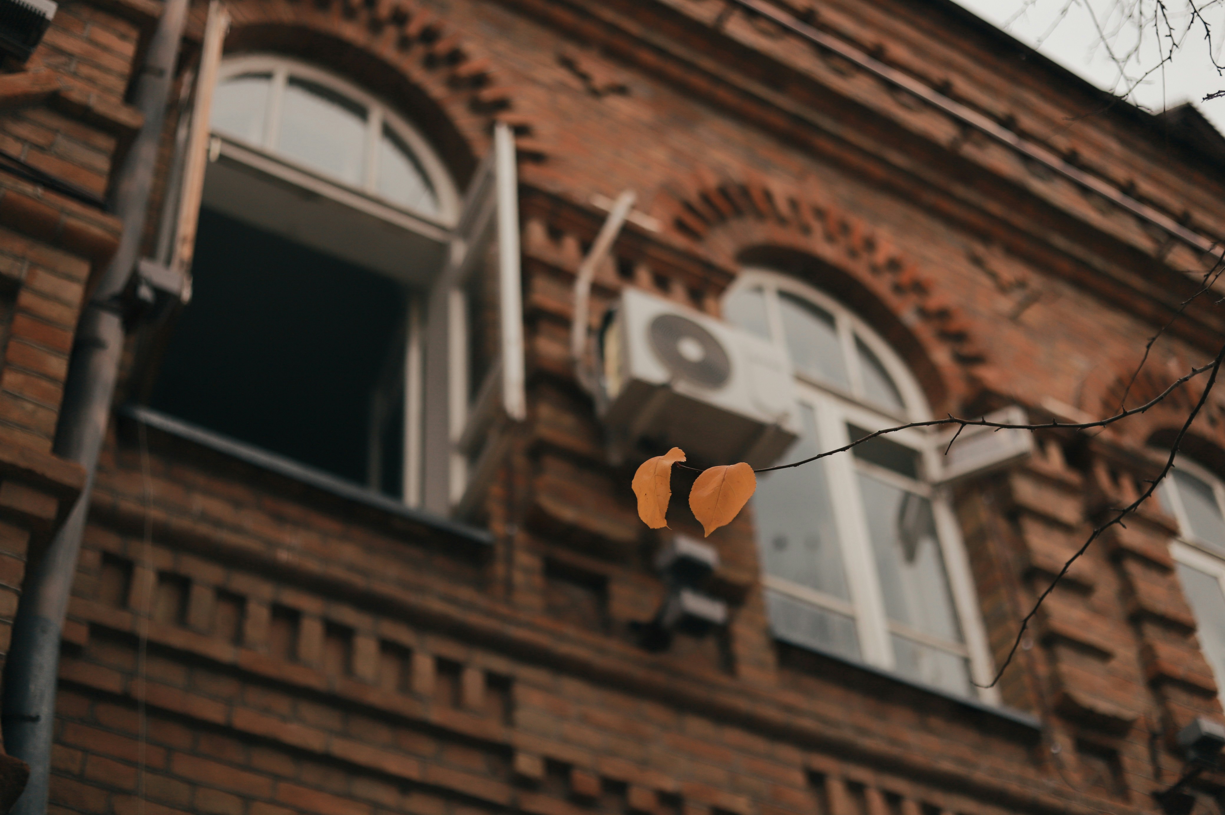 Two Ember Leaves Hover Before a Weathered Brick Facade