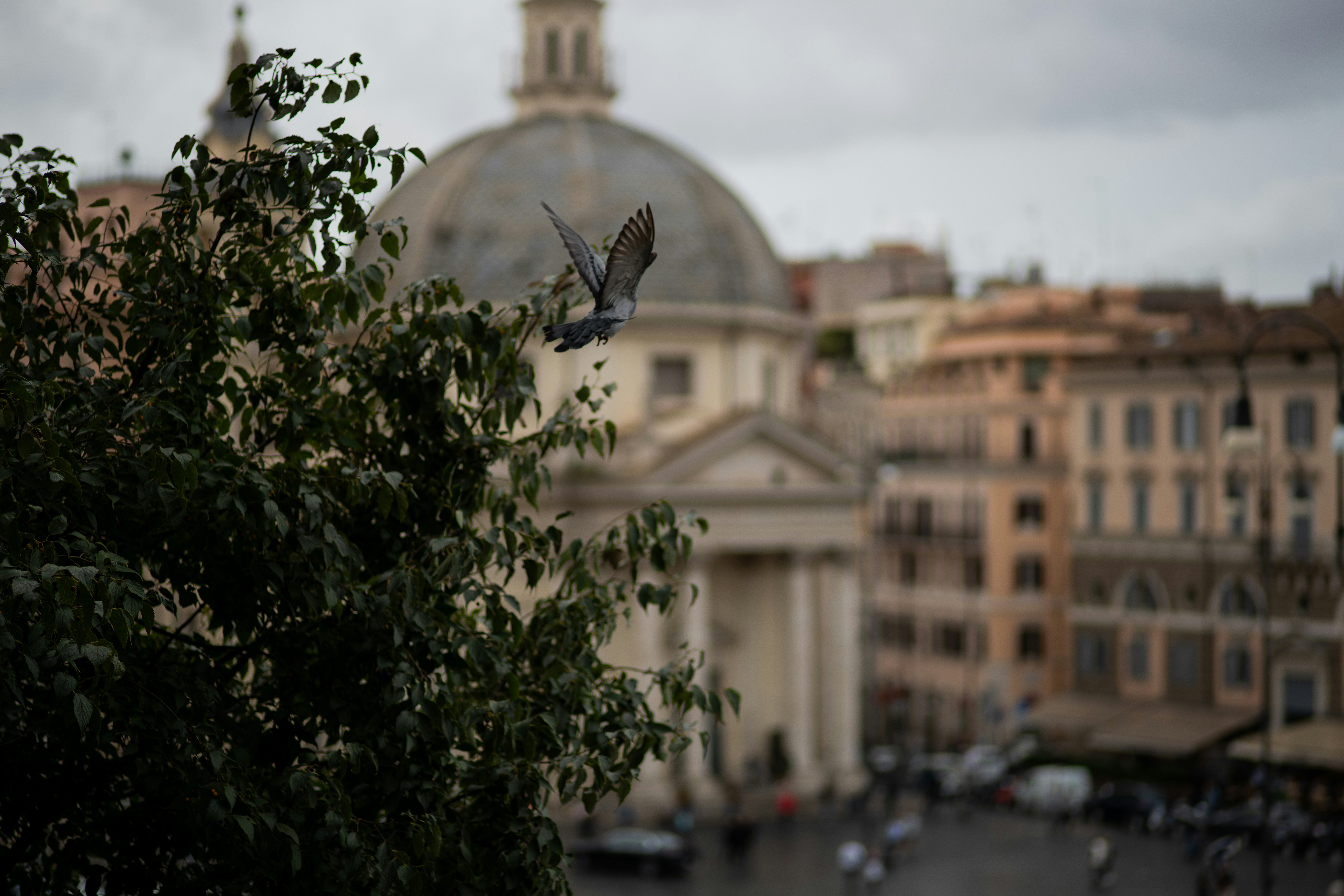 Wingbeat Over Venice: A Pigeon Glides Before the Domed Basilica