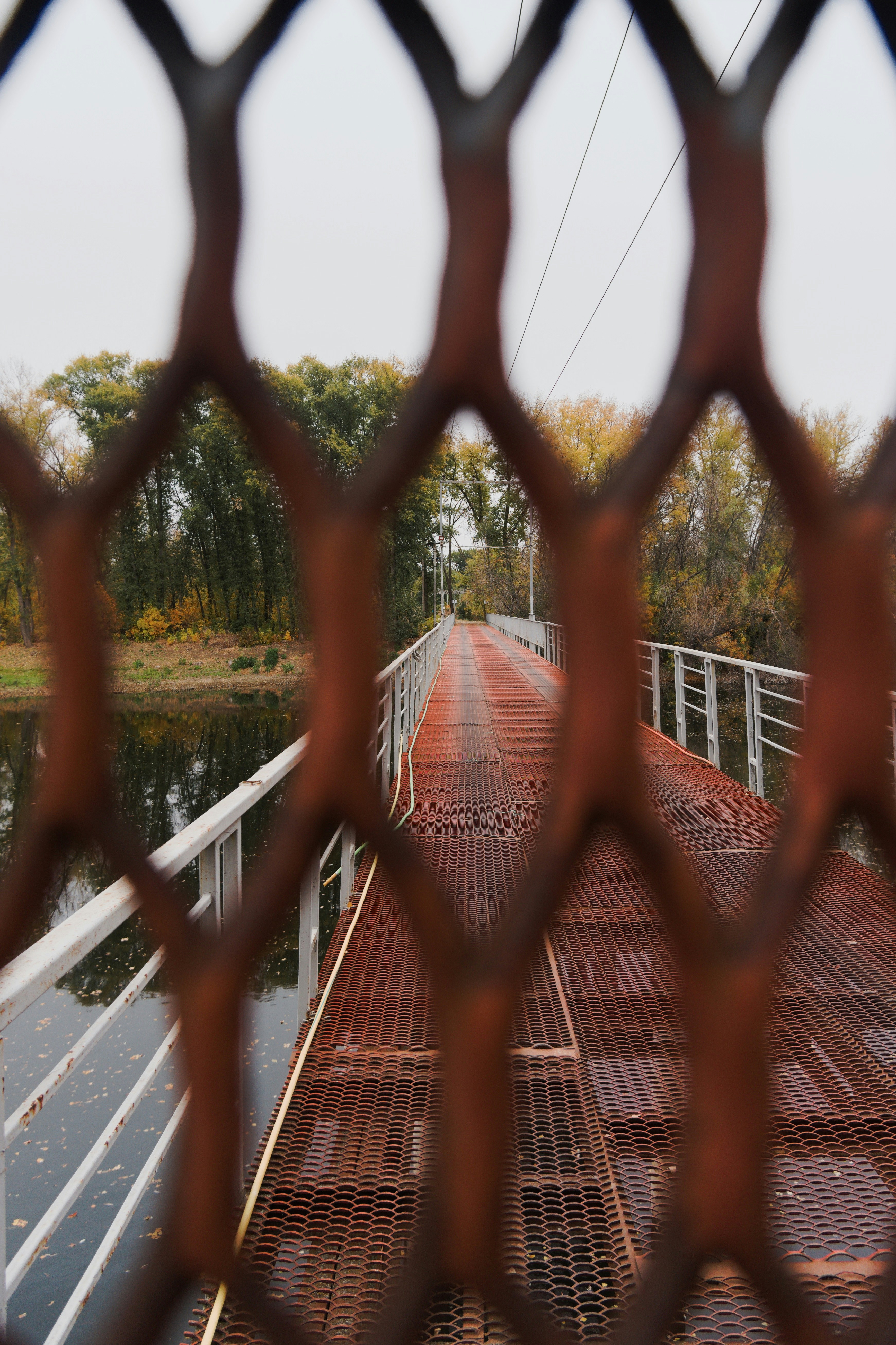 Through the Woven Fence: A Red Bridge to Autumn