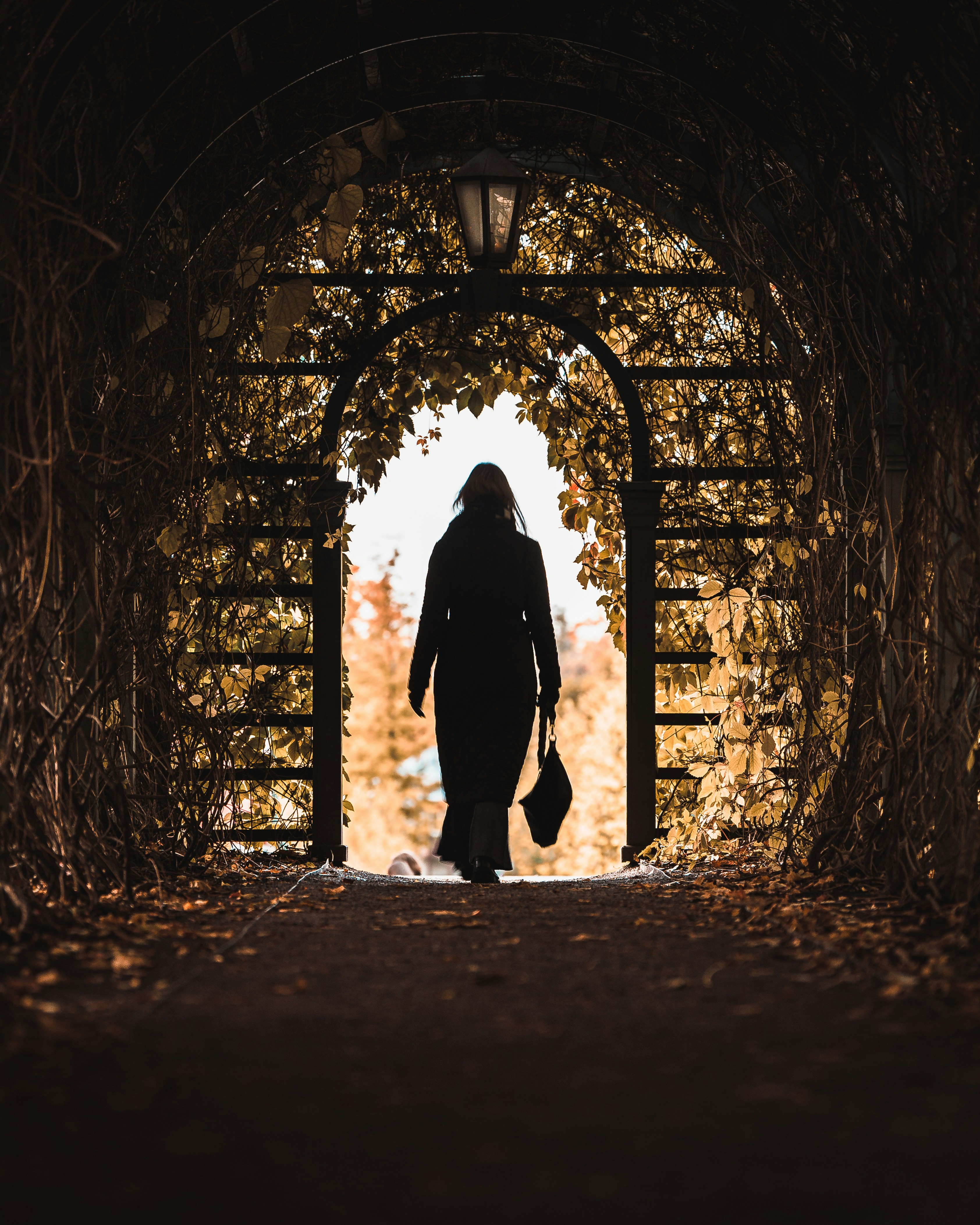 Silhouette in the Sunlit Archway