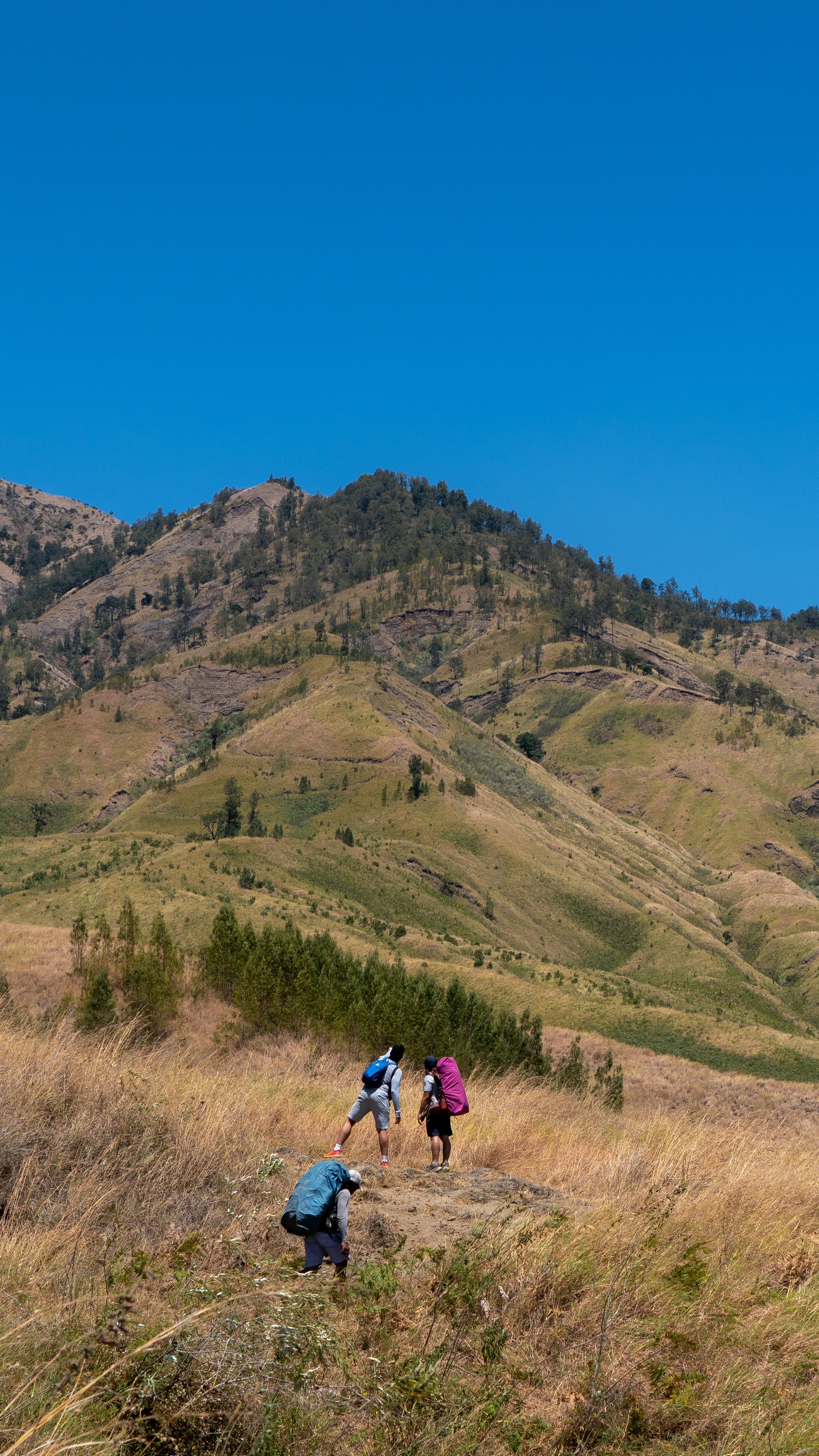 A group of people hiking up a hill photo – Free Hiking Image on Unsplash