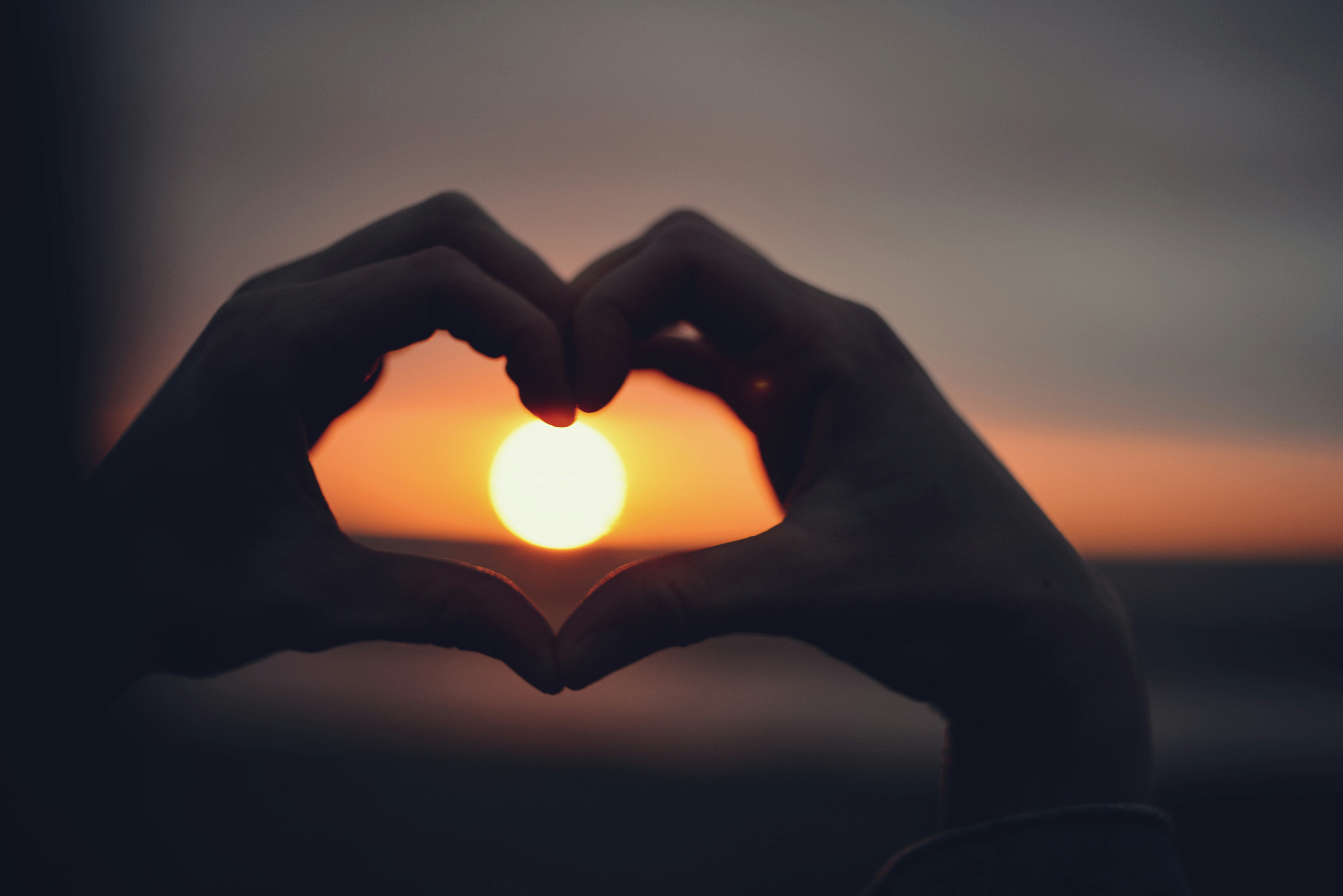 A person making a heart shape with their hands photo – Free Man Image ...