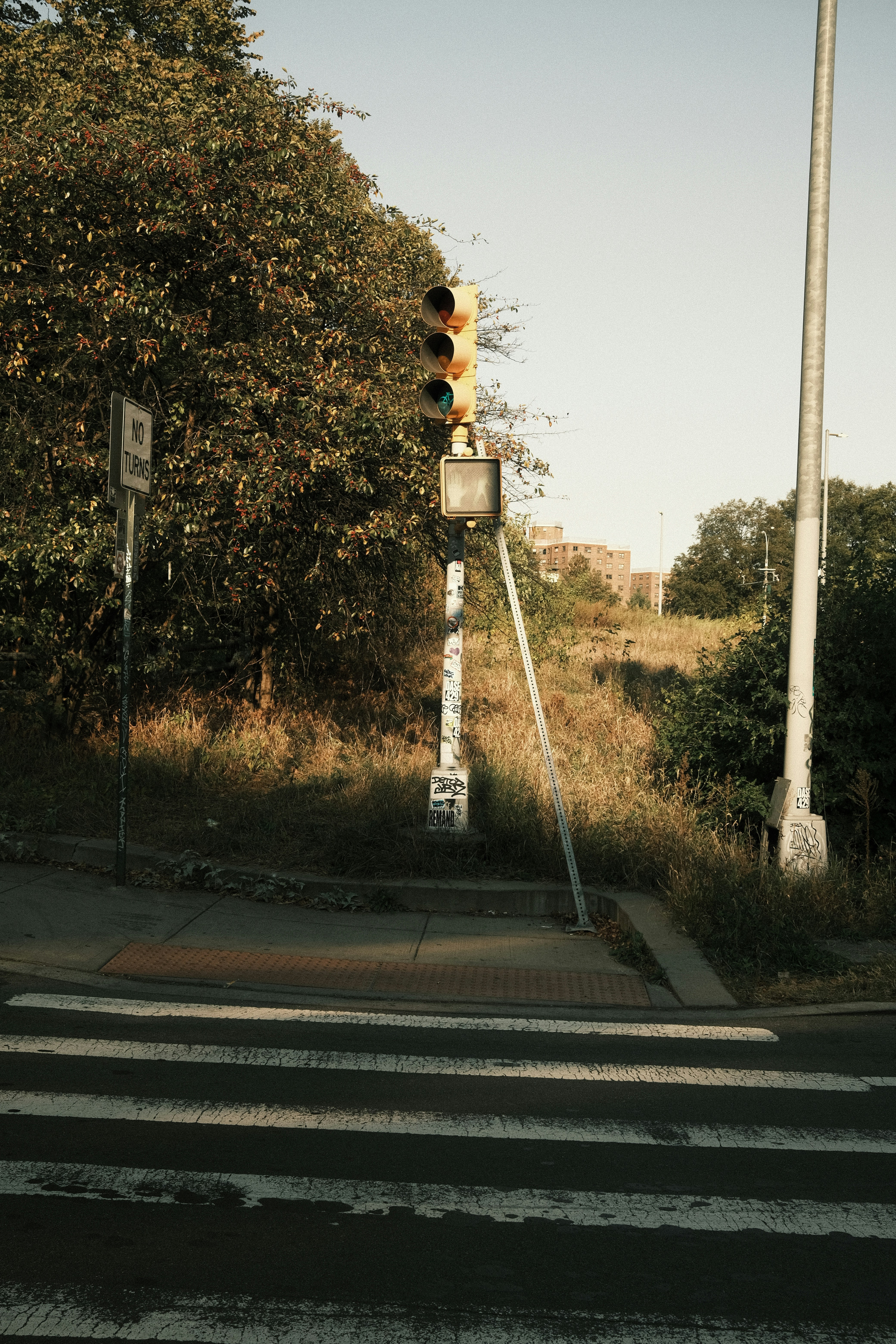 Photo by Danny Greenberg with Fujifilm X100V