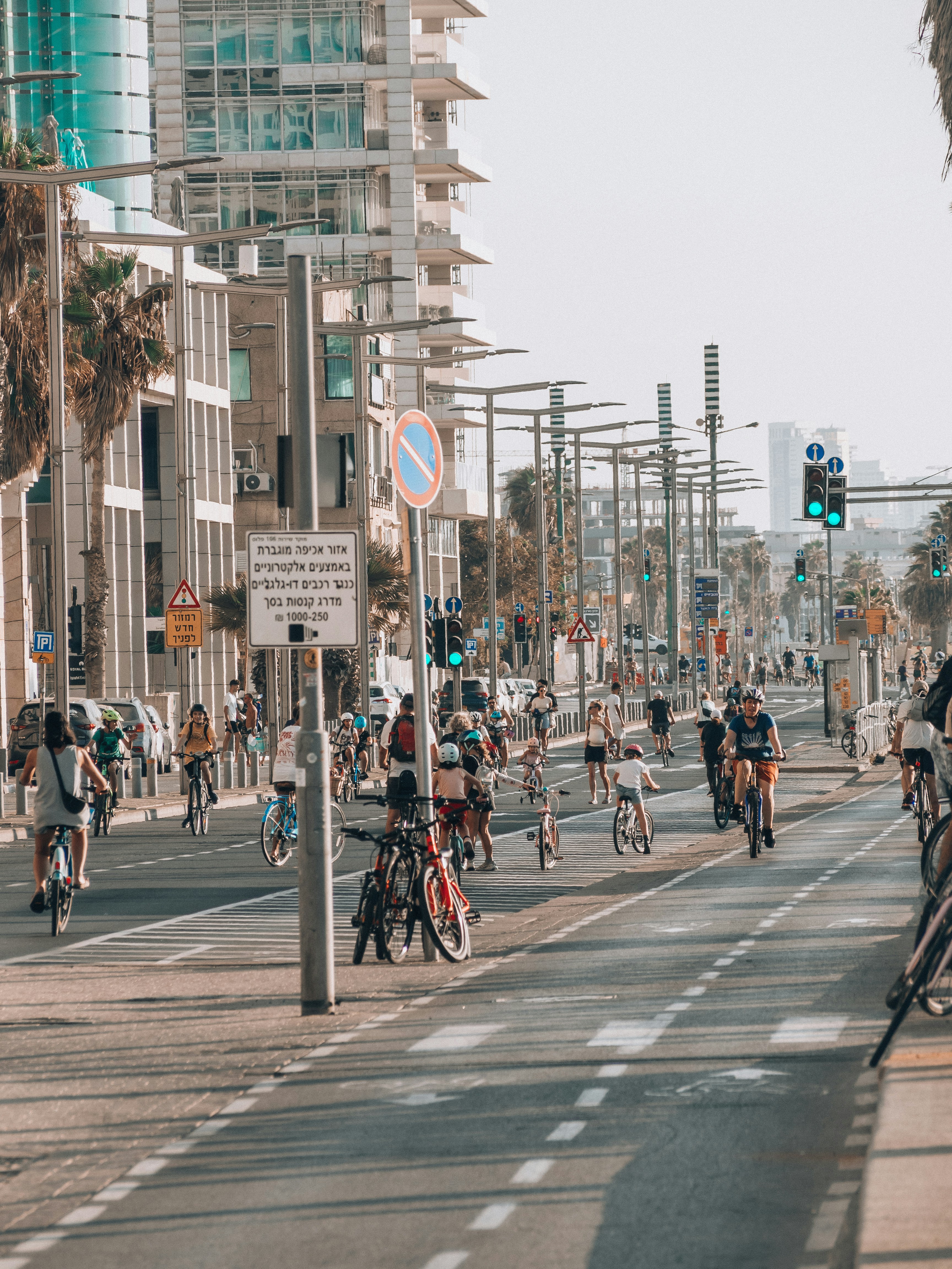 Bicycle Ballet on a Sunlit Urban Avenue