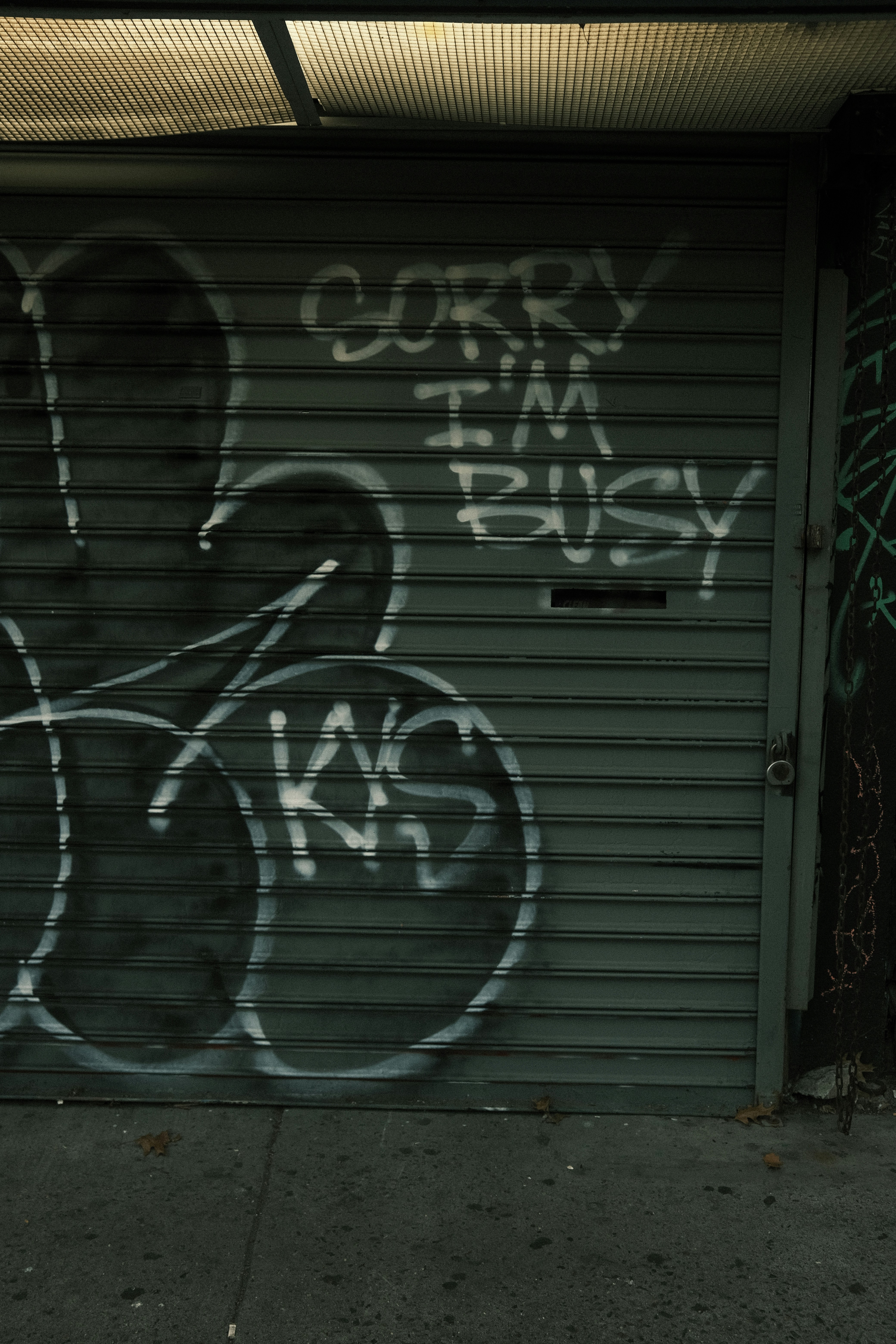 I'm Busy on the Gate: Urban Graffiti on a Dimmed Shutter