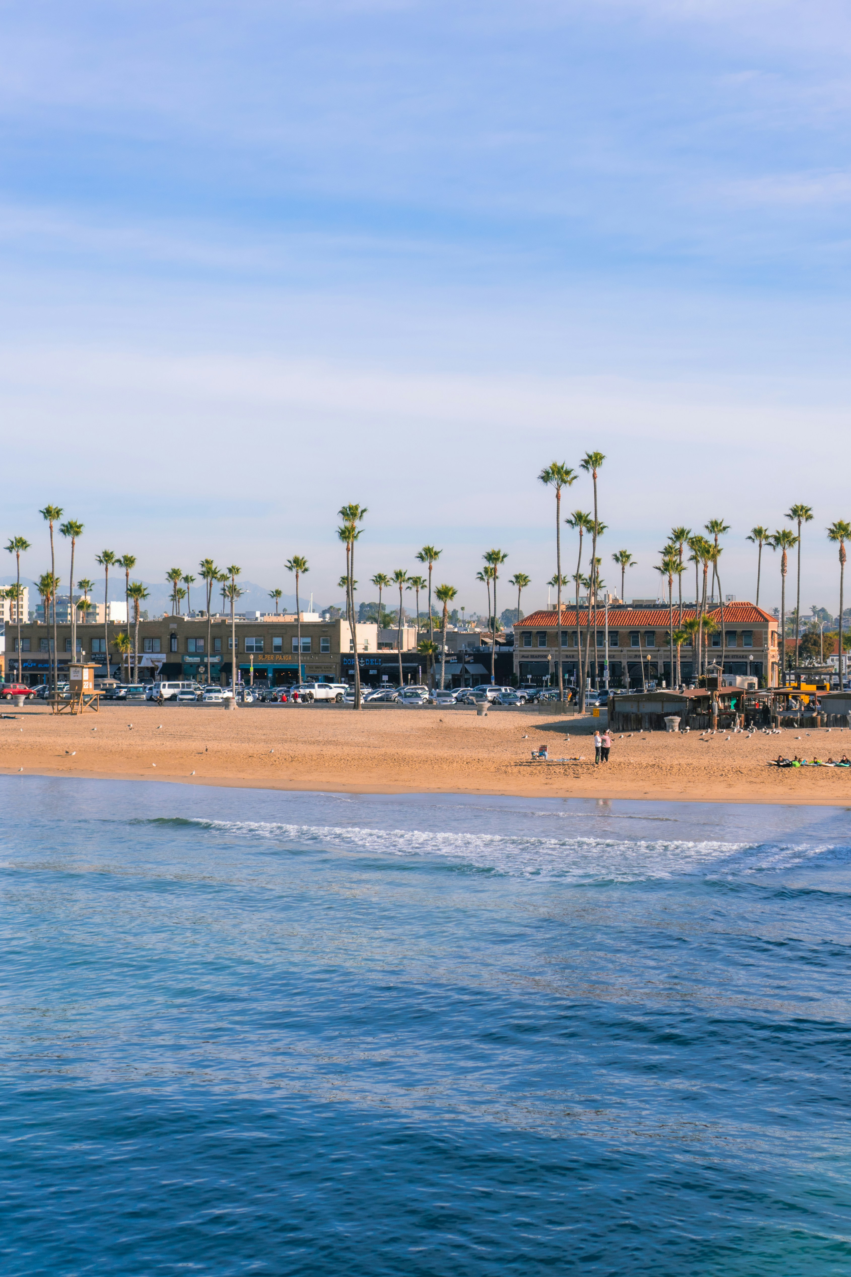 Palm Trees Over a Busy Beachfront: Shops, Cars, and Gentle Waves