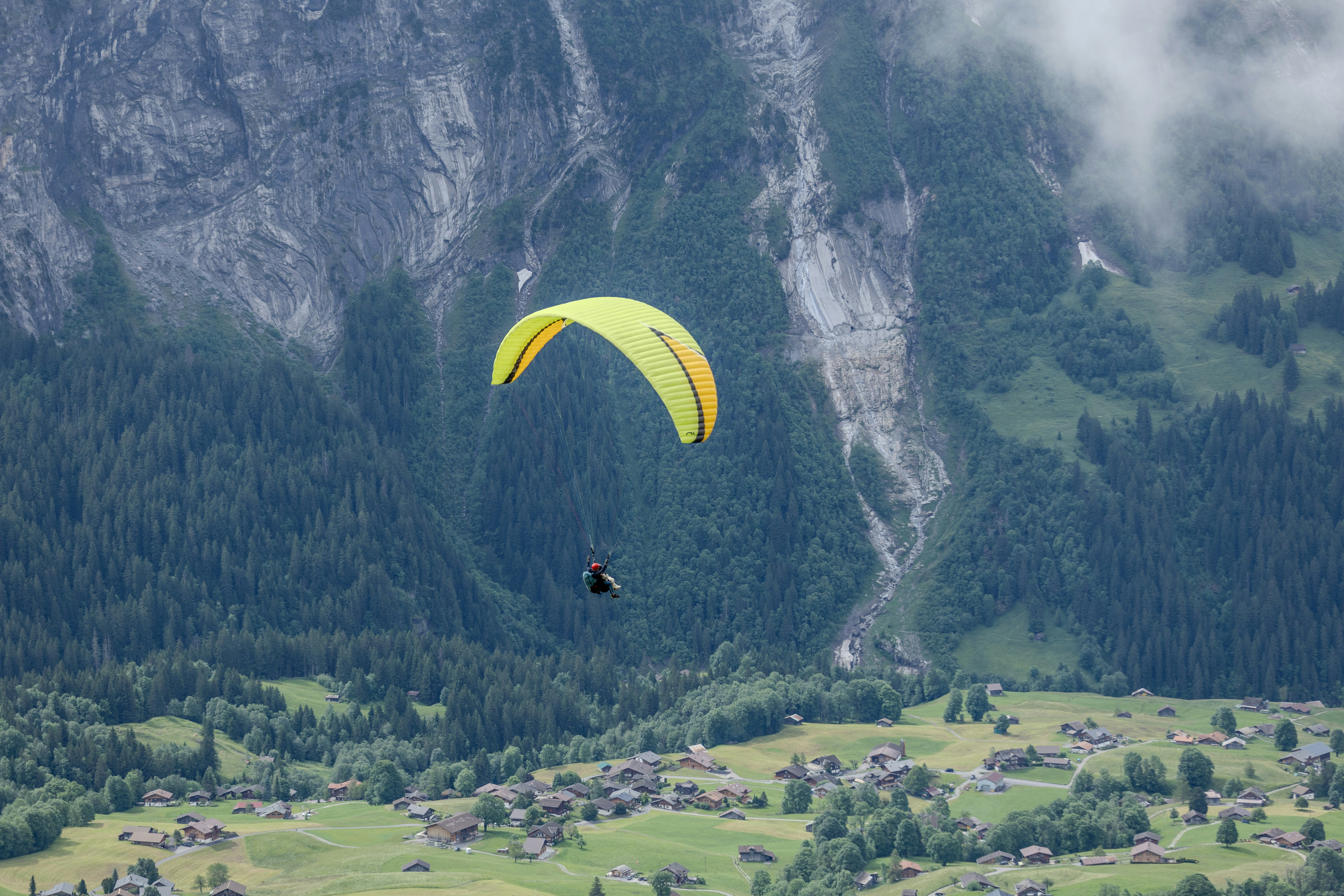 Soaring Over Verdant Valleys