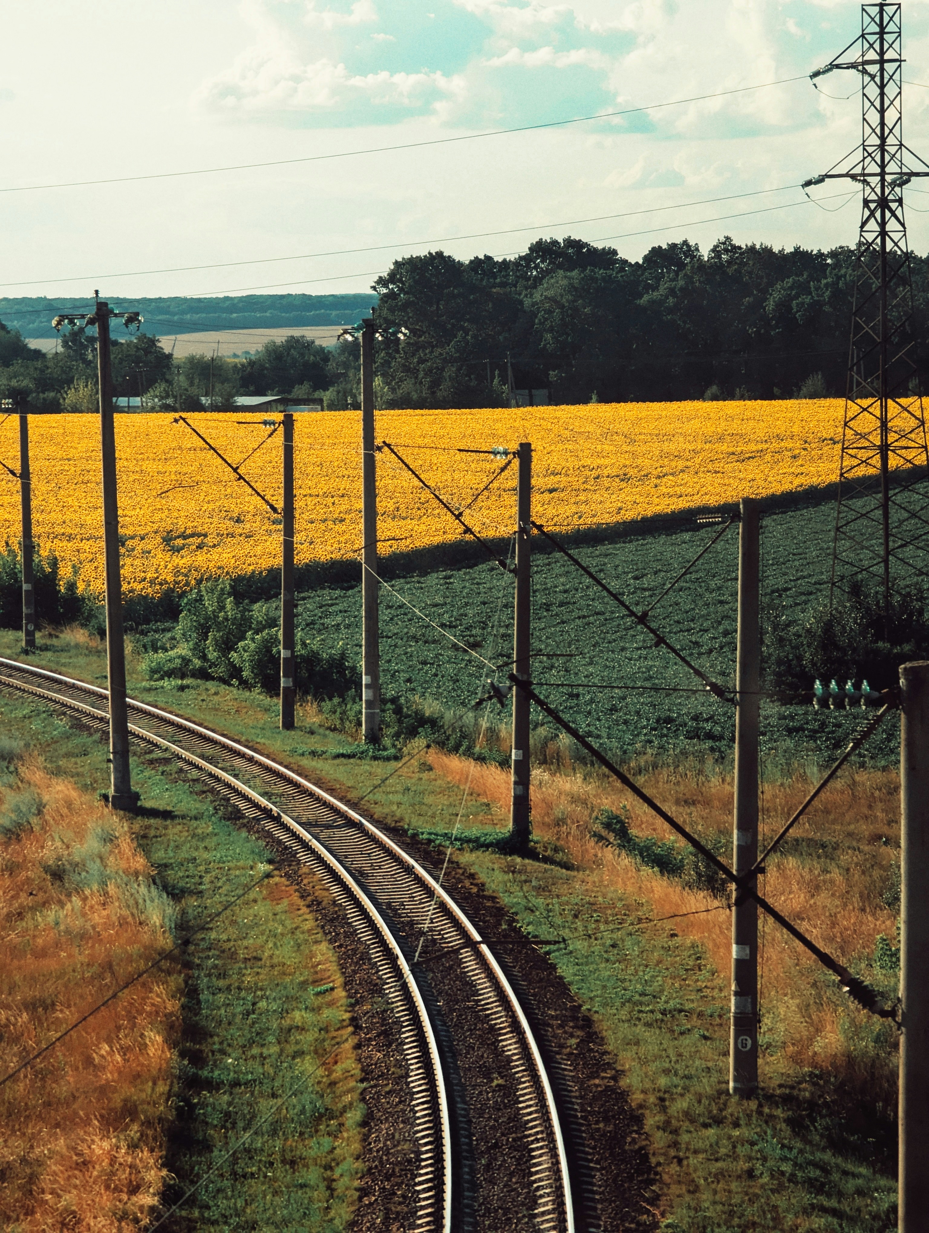 Photo by Nastia Petruk with Google Pixel 7 Pro