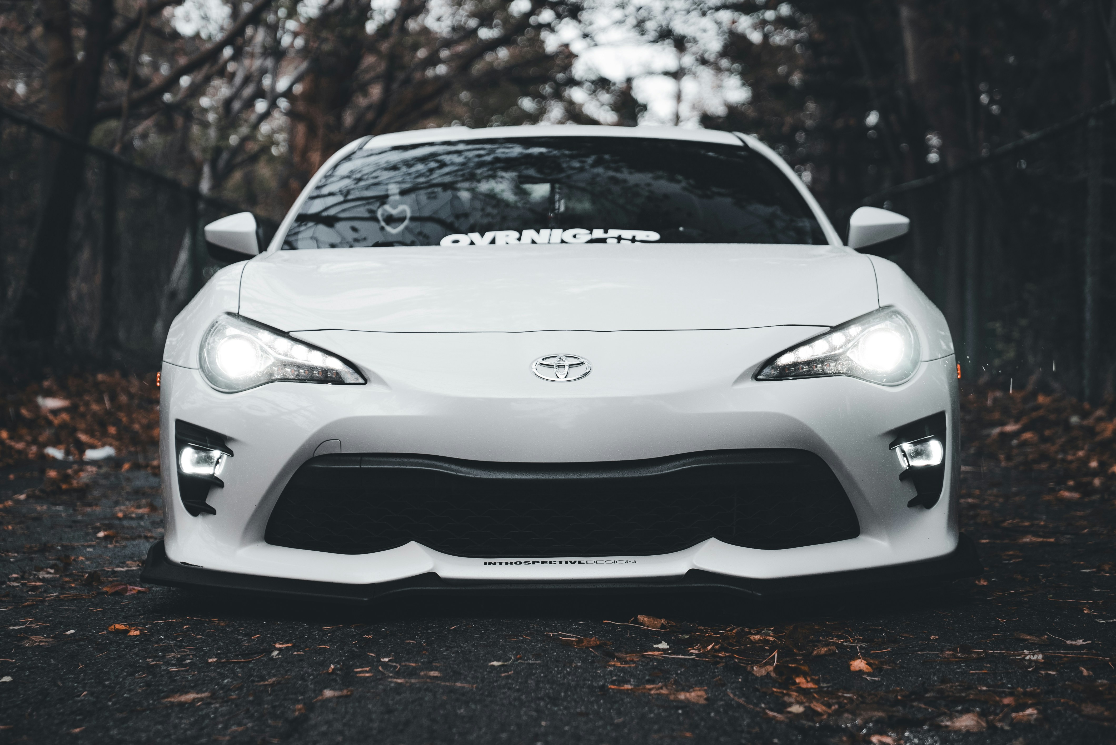 Snarling Front End: A White Sports Coupe Poised on a Leaf-Strewn Road