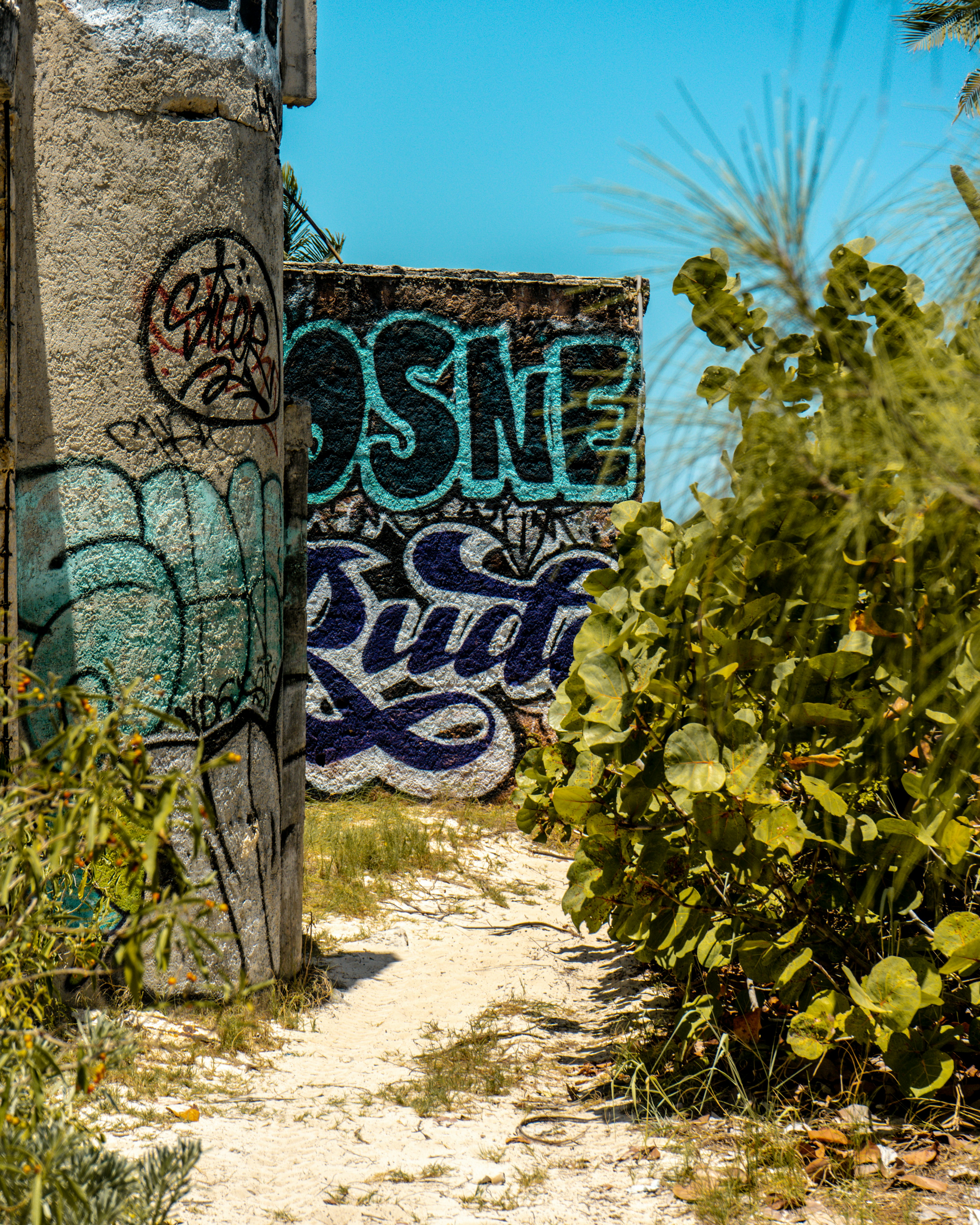 Blue Graffiti Gate in a Sunlit Alley