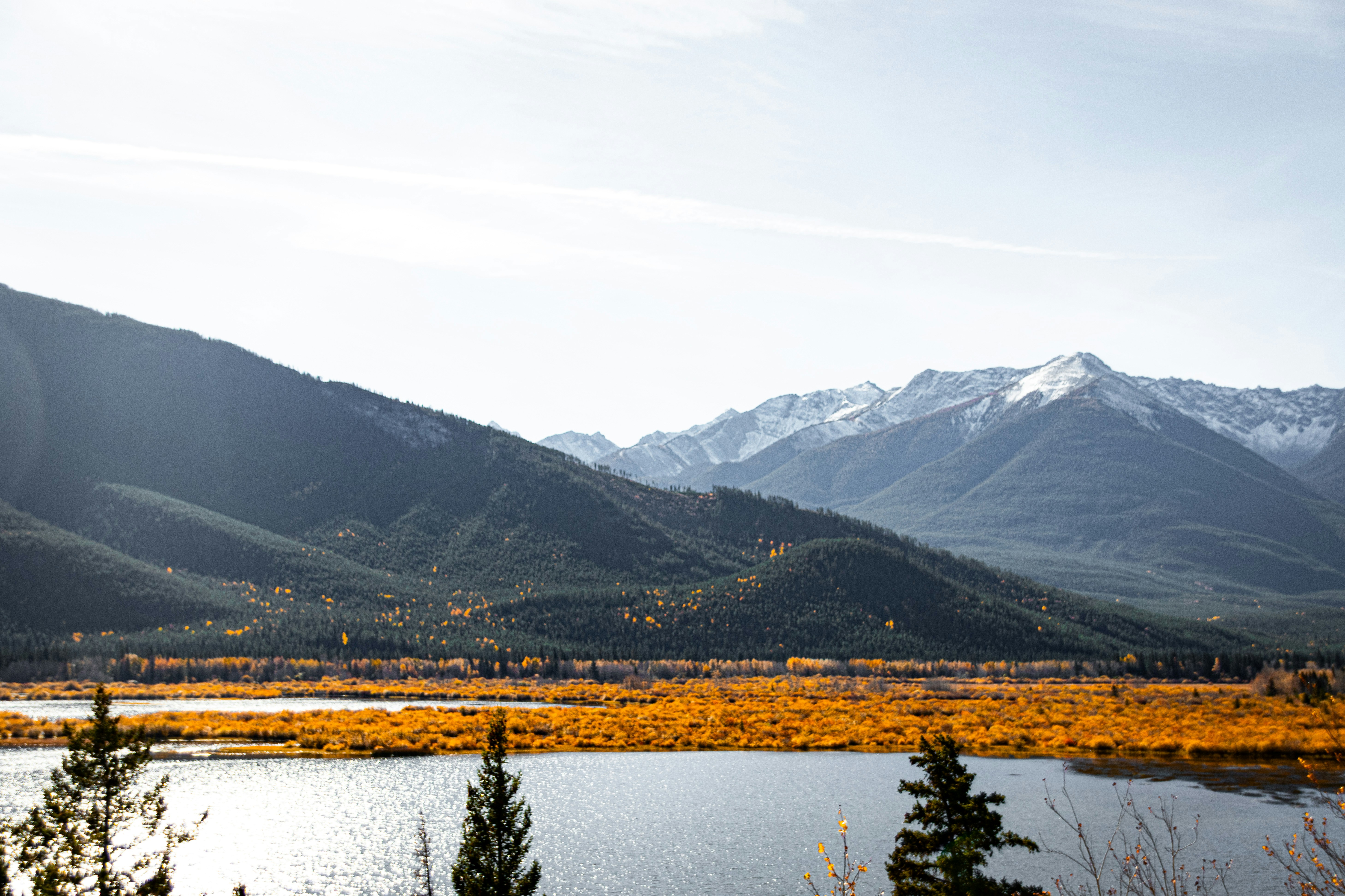 Golden Meadows Beneath Snow-Capped Peaks