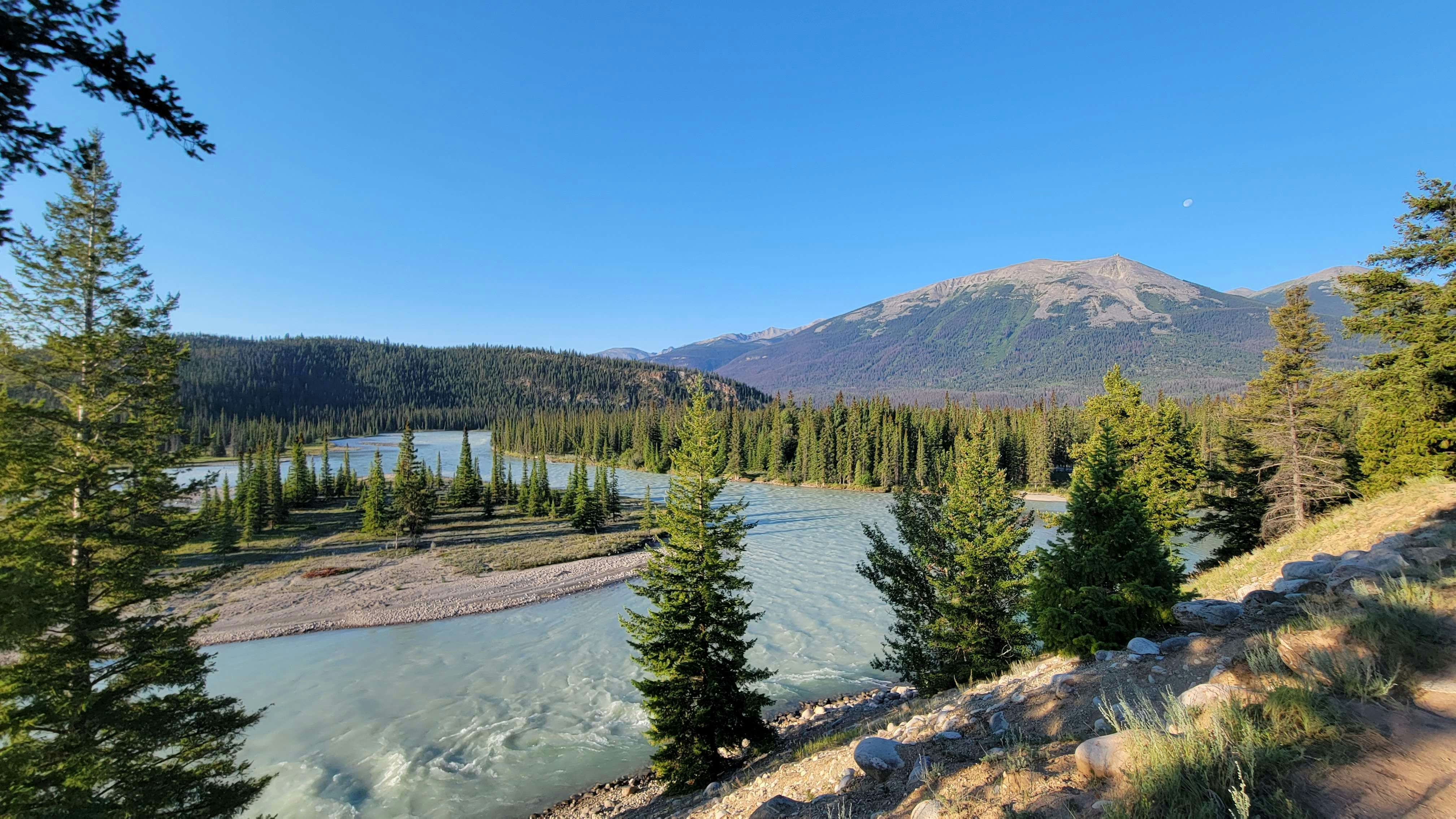 A scenic view of a river surrounded by pine trees photo – Free Jasper ...