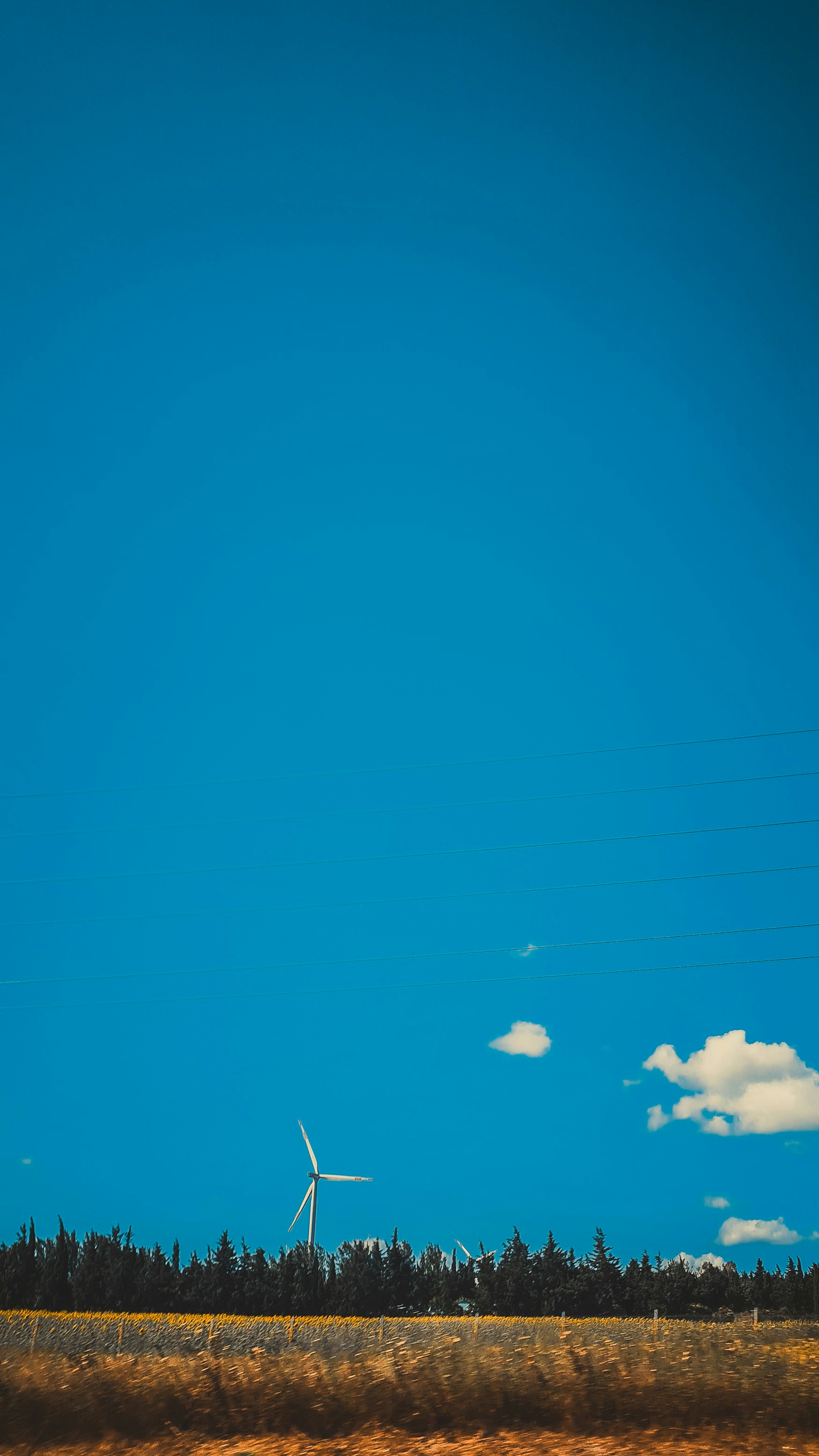 Azure Horizon, Lone Wind Turbine in a Quiet Field