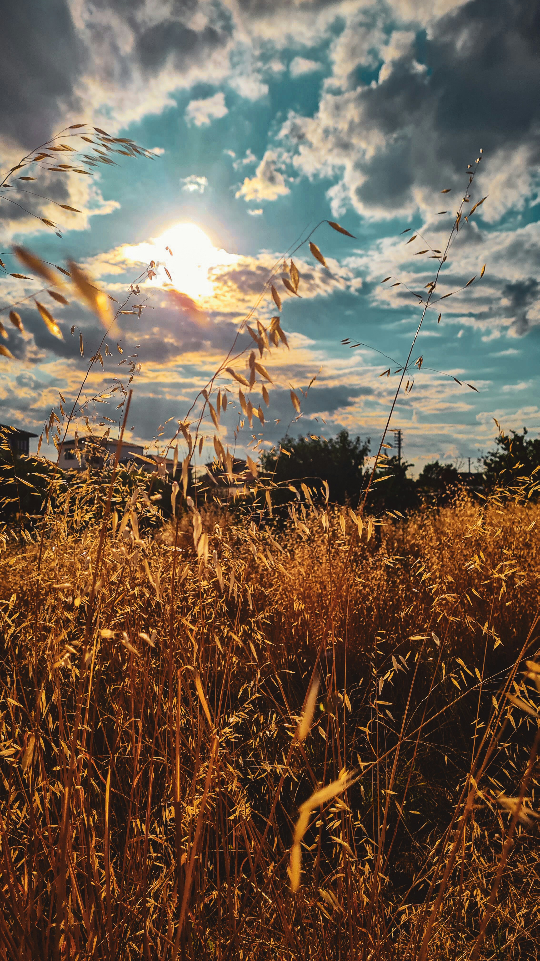 Photo by Onur KAYACI with Samsung Galaxy S20 FE