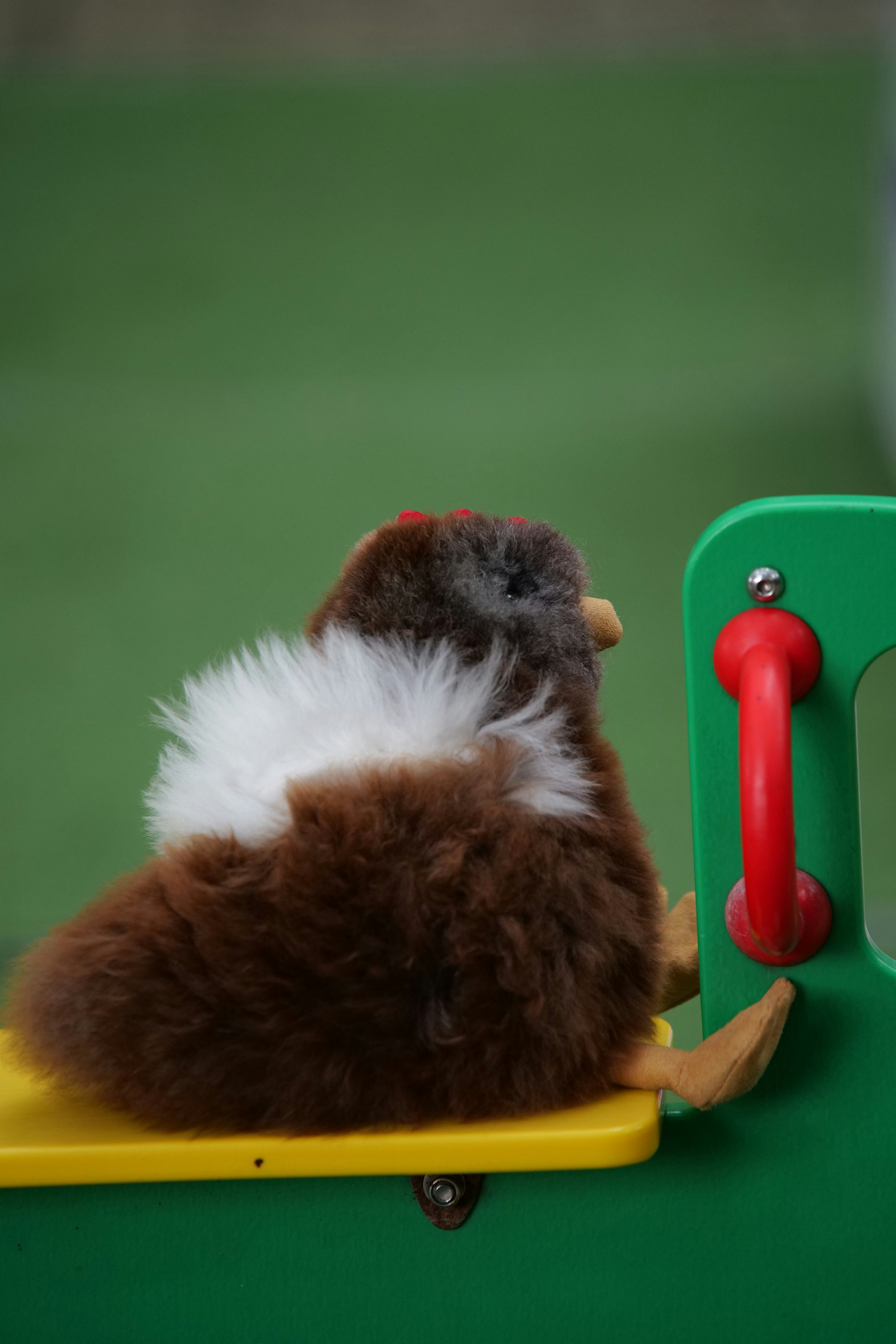 A stuffed animal laying on top of a green slide photo – Free Cat Image ...