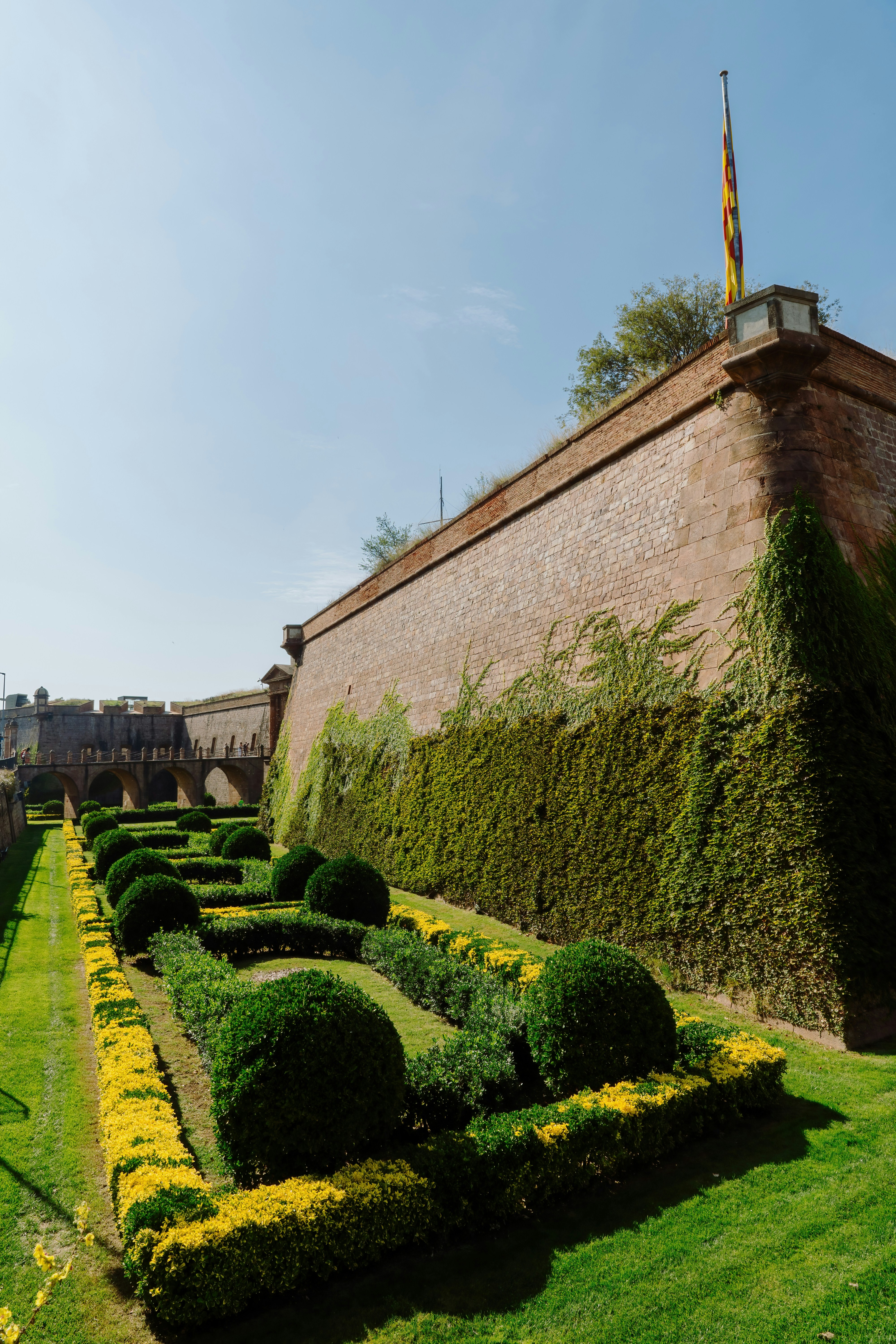 A garden with a very long row of hedges photo – Free Montjuïc Image on ...