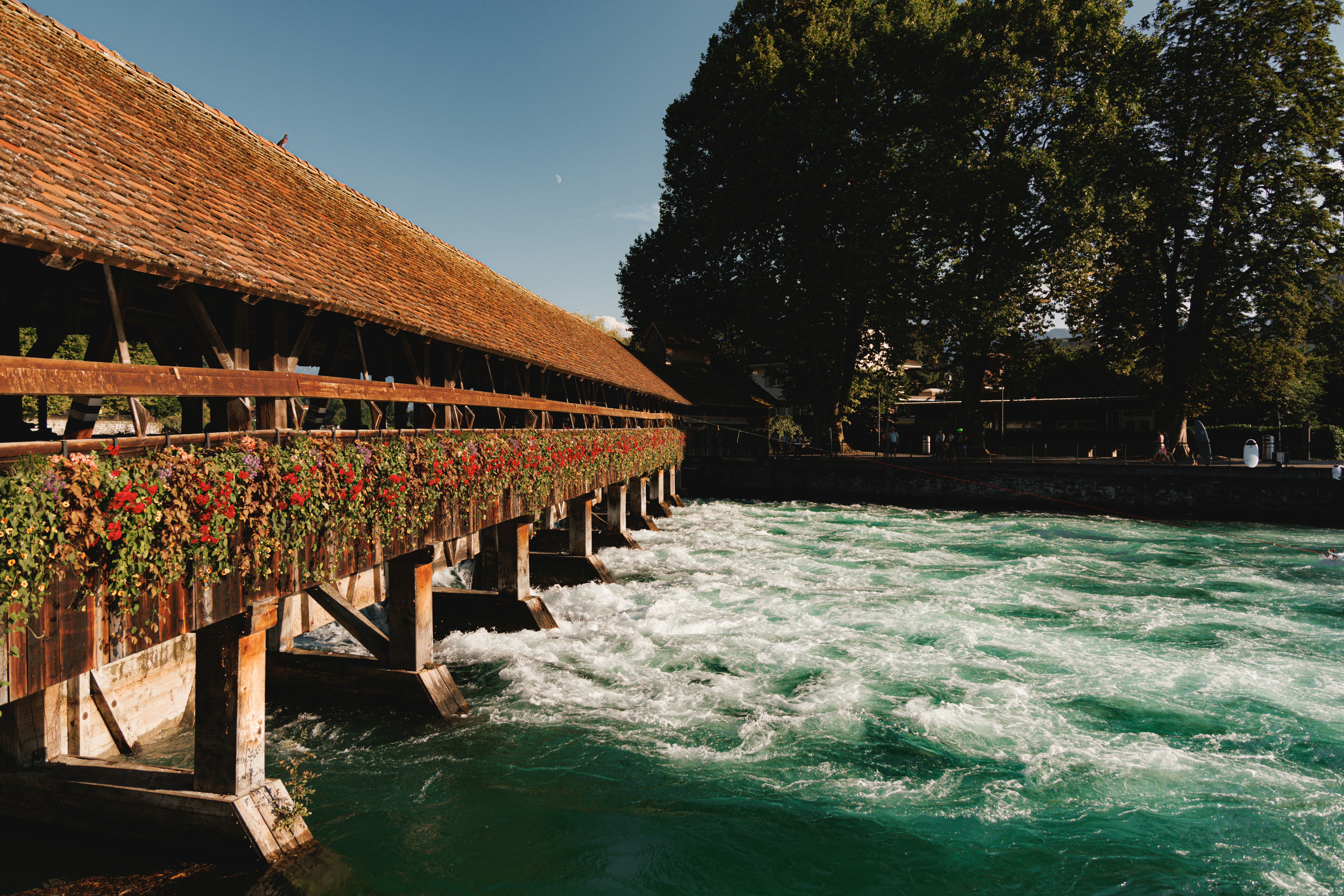 A long wooden bridge over a river next to a forest photo – Free Thun ...